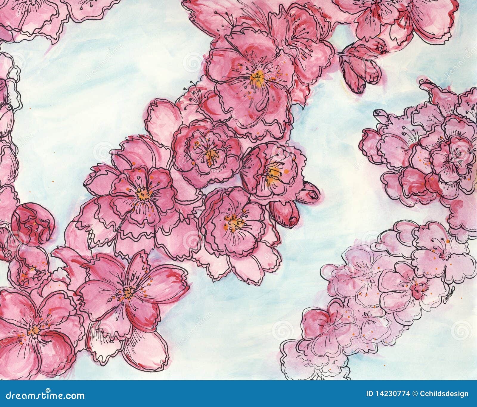 Apple Blossom Branch Isolated On White. Vintage Botanical Hand Drawn ...