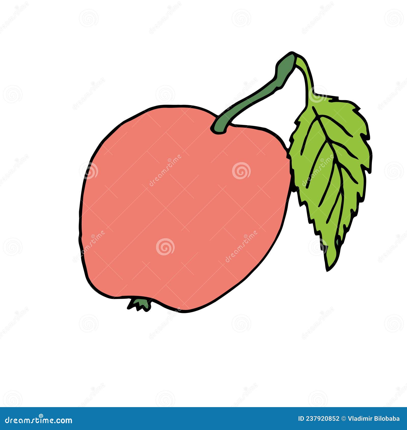 Pink apple stock illustration. Illustration of drawing - 237920852