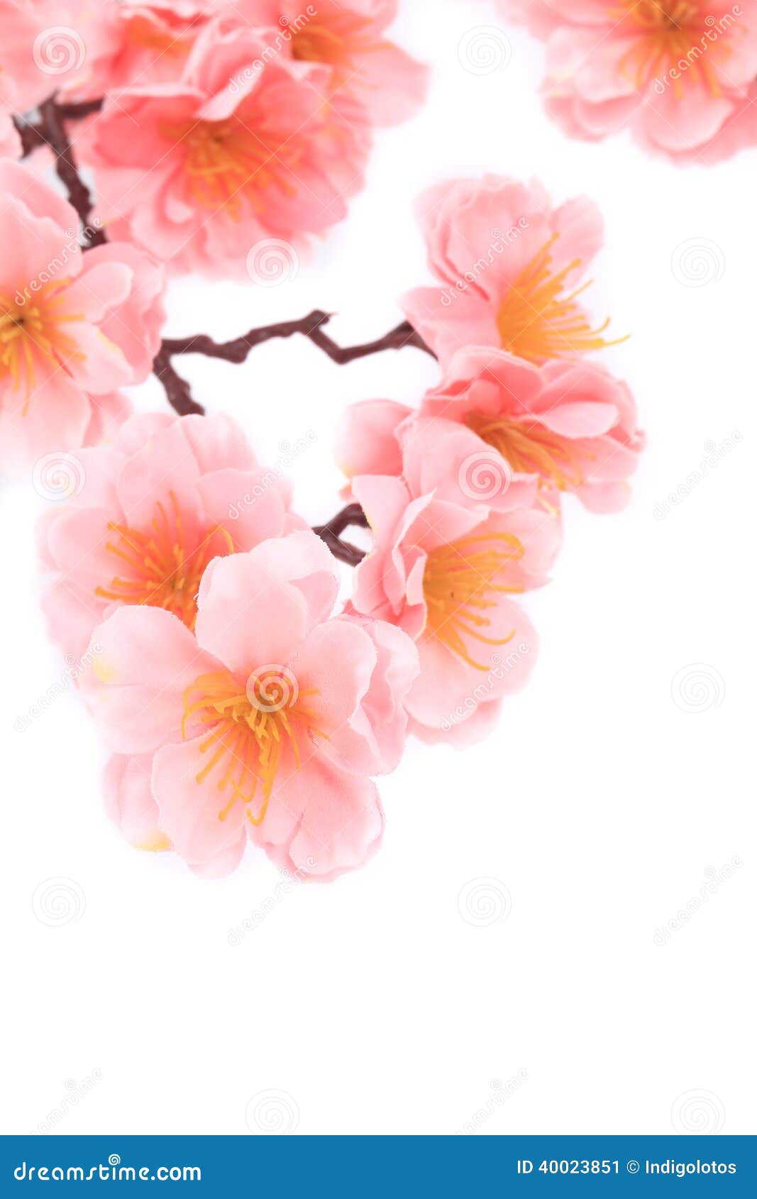 Pink artificial flowers. stock image. Image of reflections - 40023851