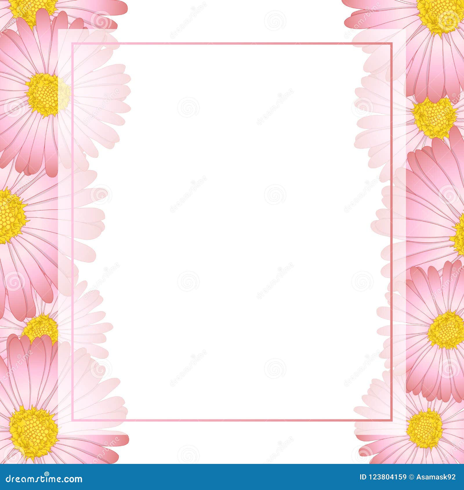 Pink Aster, Daisy Flower Banner Card. Vector Illustration Stock Vector ...