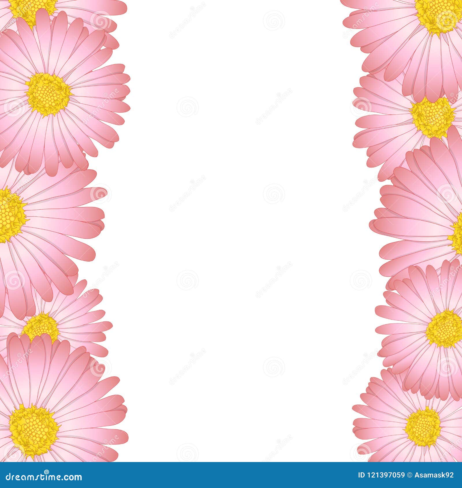 Pink Aster, Daisy Flower Border. Vector Illustration Stock Vector ...
