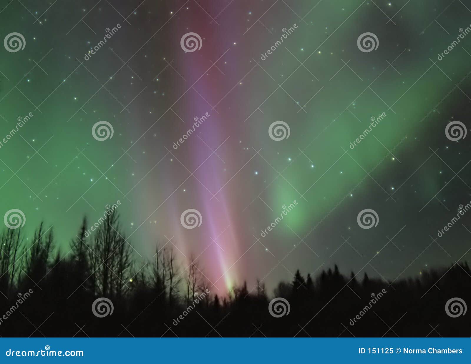Pink Aurora Borealis stock image. Image of aurora, night - 151125