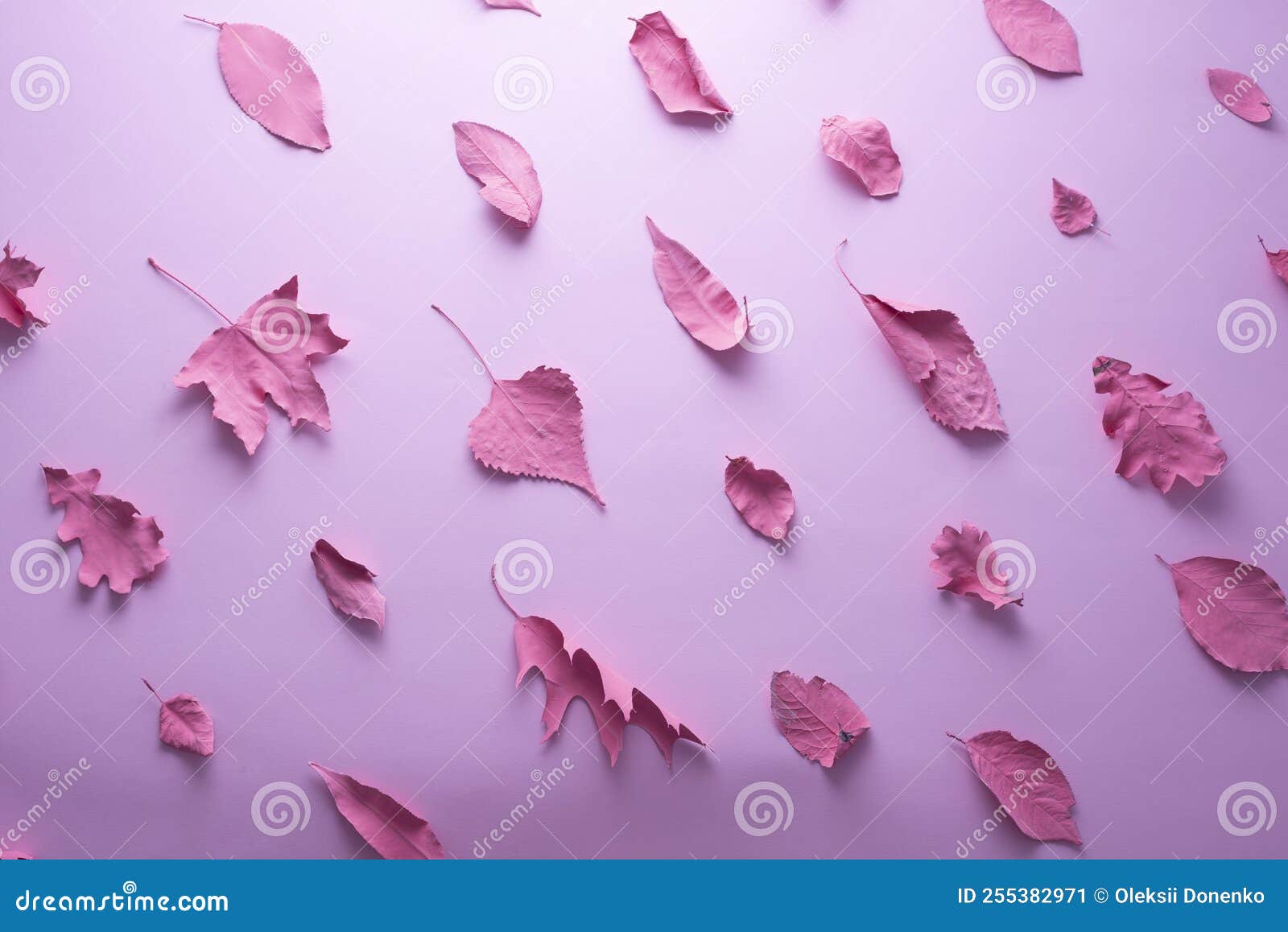 Pink Autumn Leaves on Pink Background Minimal Composition Stock Image ...