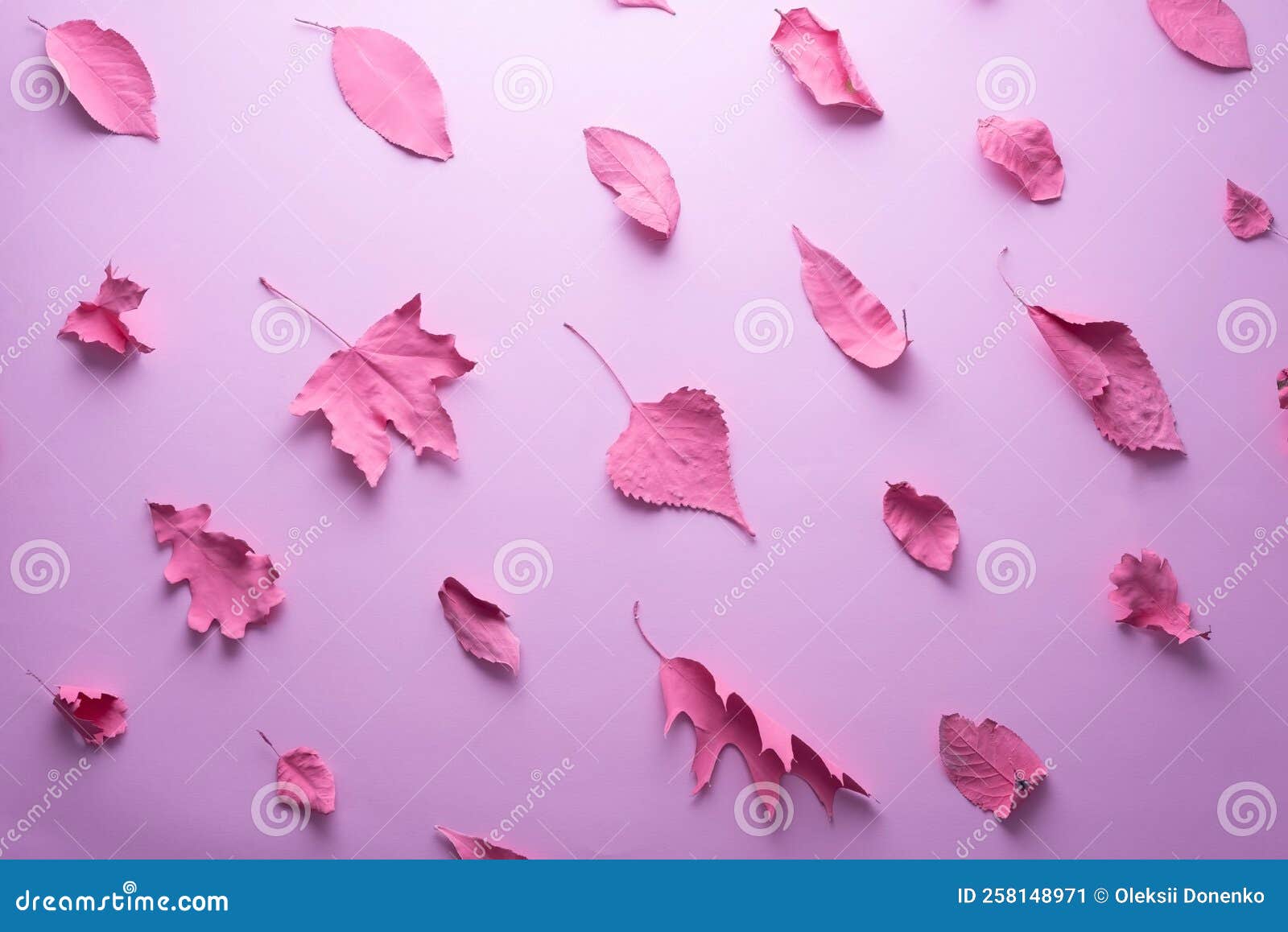 Pink Autumn Leaves on Pink Background Minimal Composition Stock Image ...