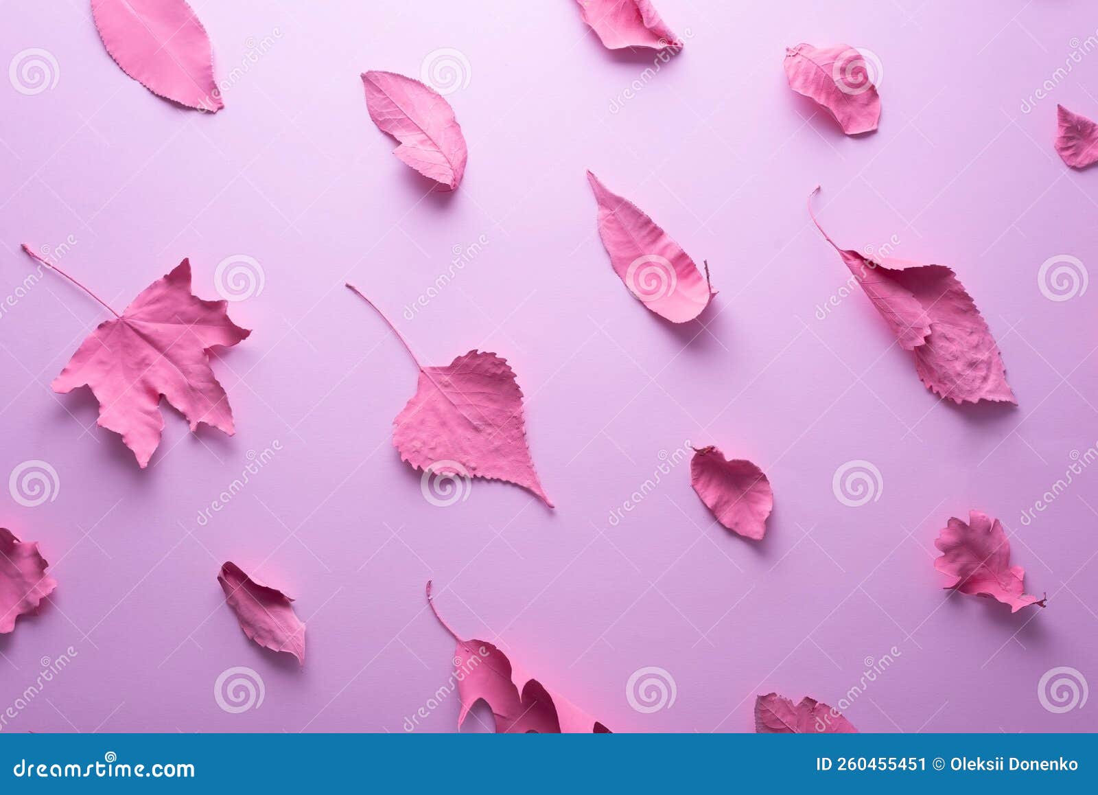 Pink Autumn Leaves on Pink Background Minimal Composition Stock Image ...