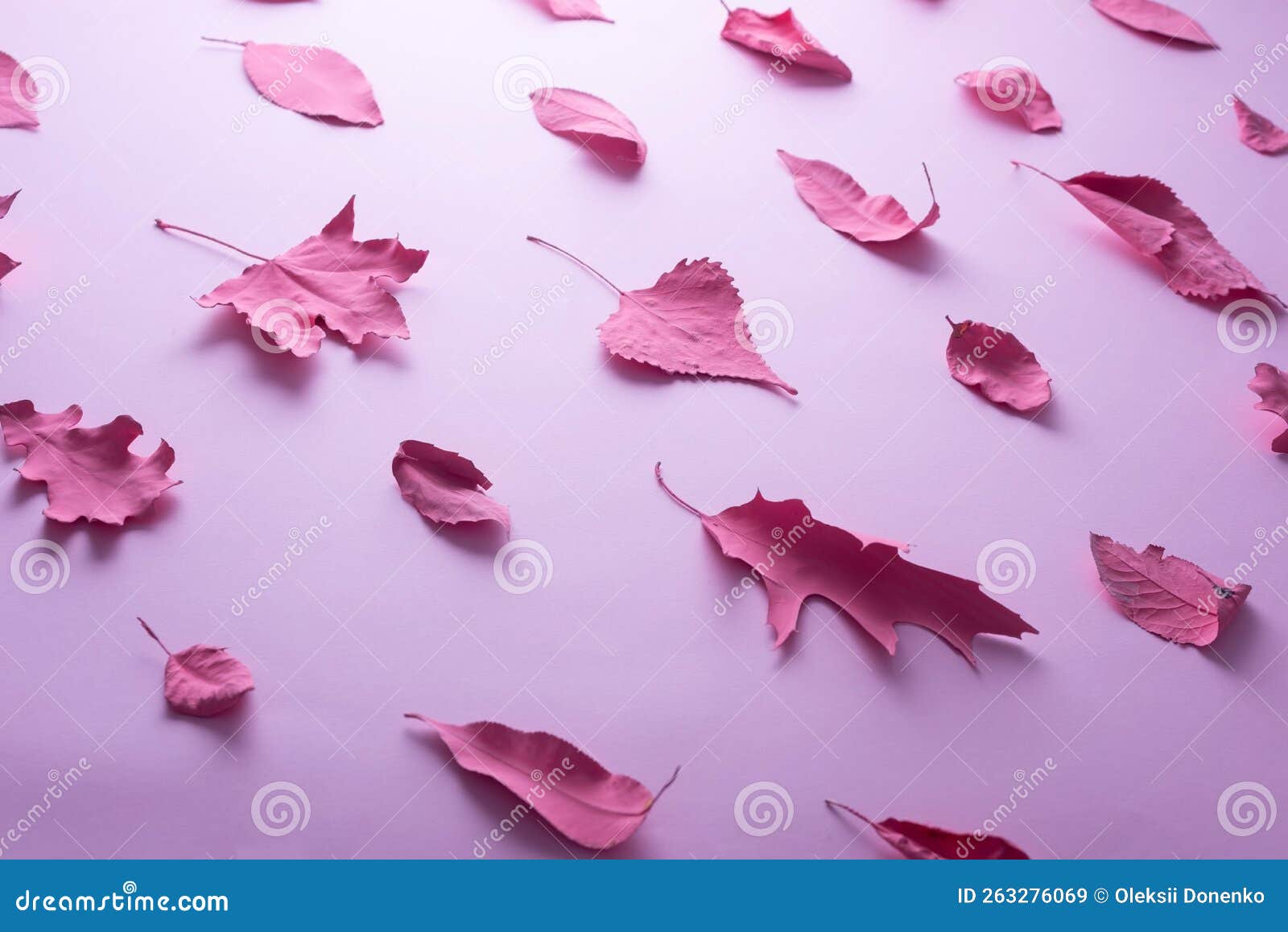Pink Autumn Leaves on Pink Background Minimal Composition Stock Image ...