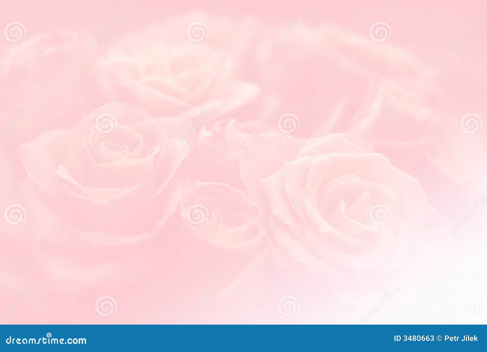 Pink Background with Motive Stock Image - Image of effect, paper: 3480663