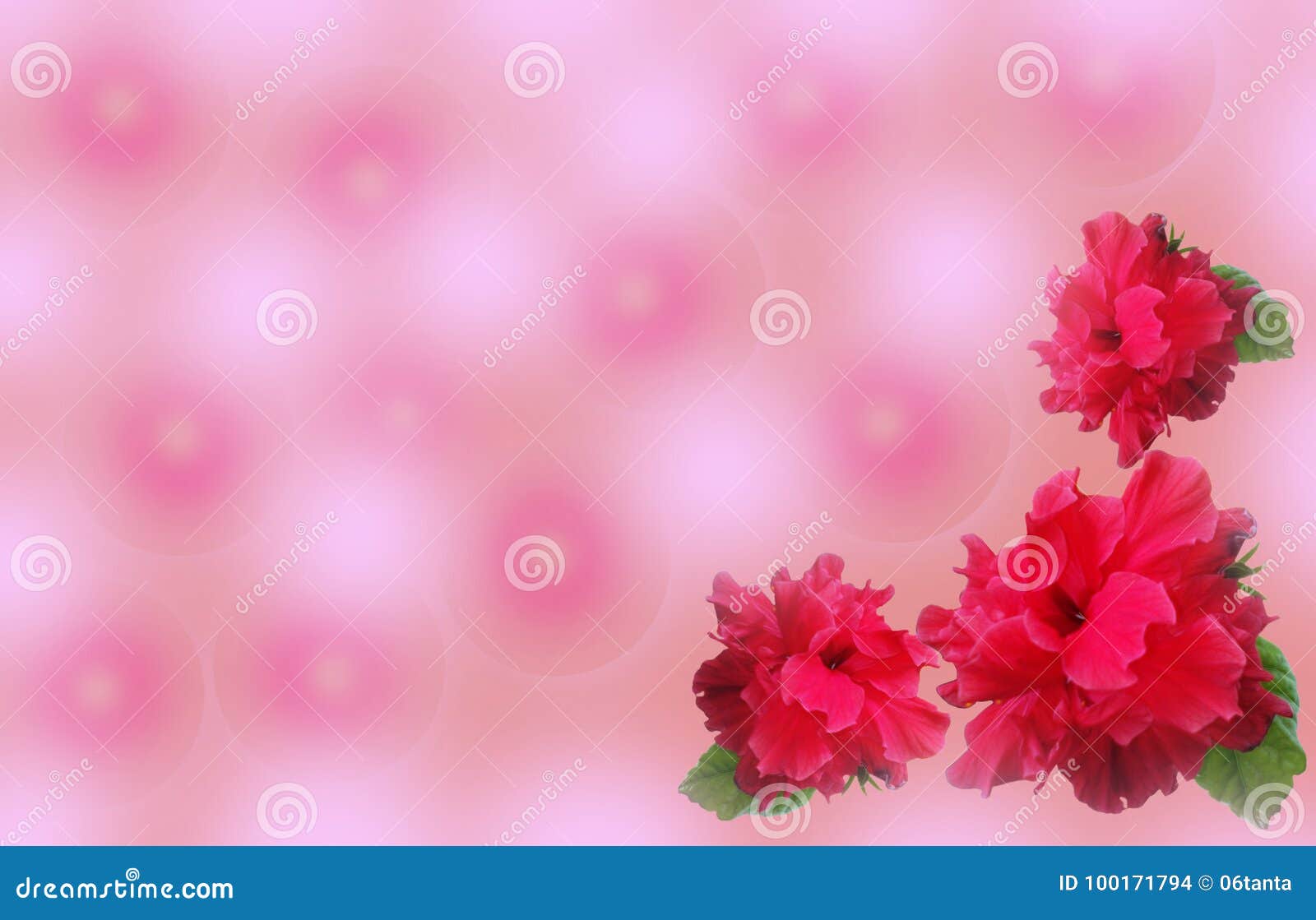 Pink Background with Red Flowers Stock Photo - Image of degradation ...