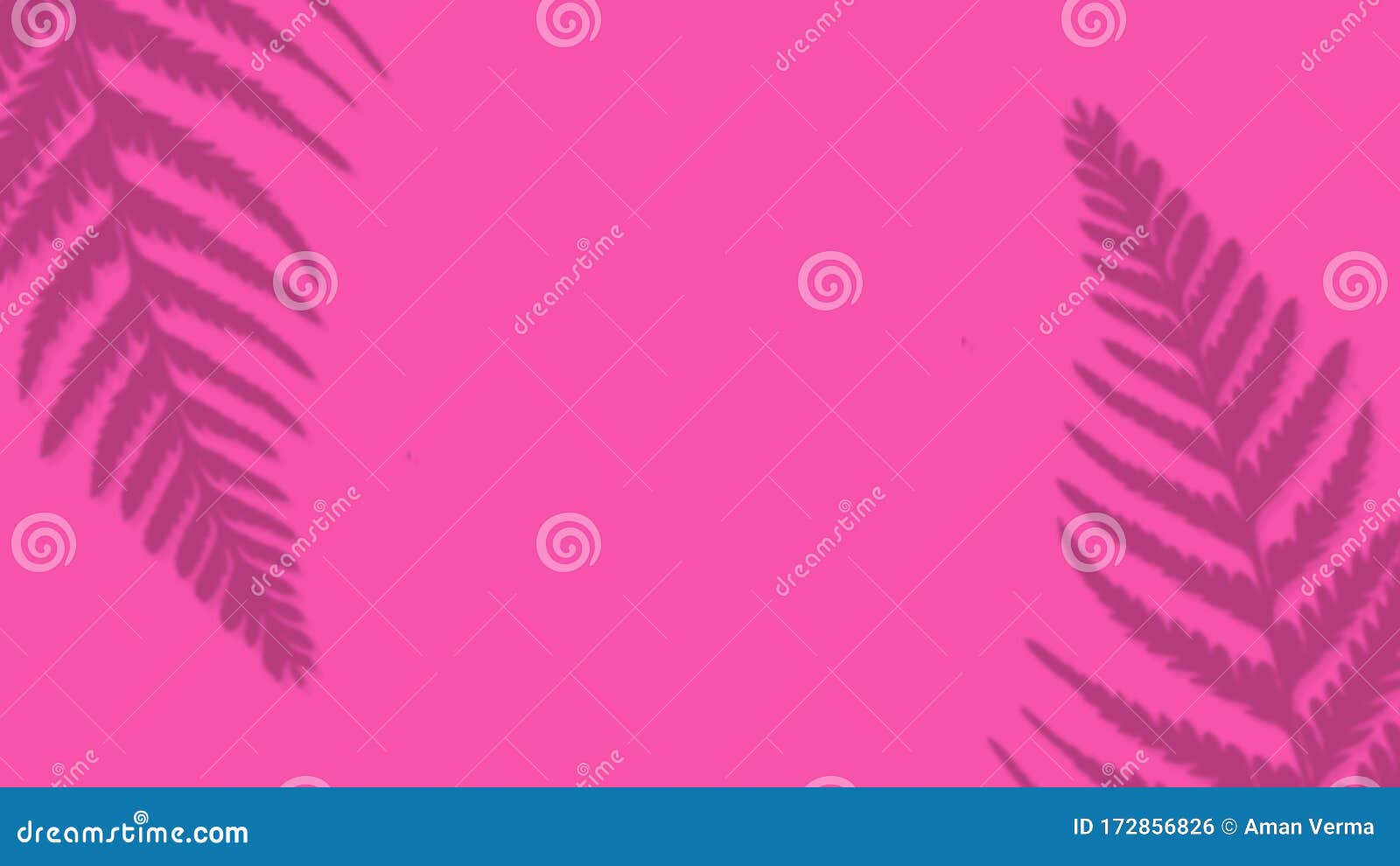 Pink Background with Shadow of the Leaves at the Two Corners. Stock ...