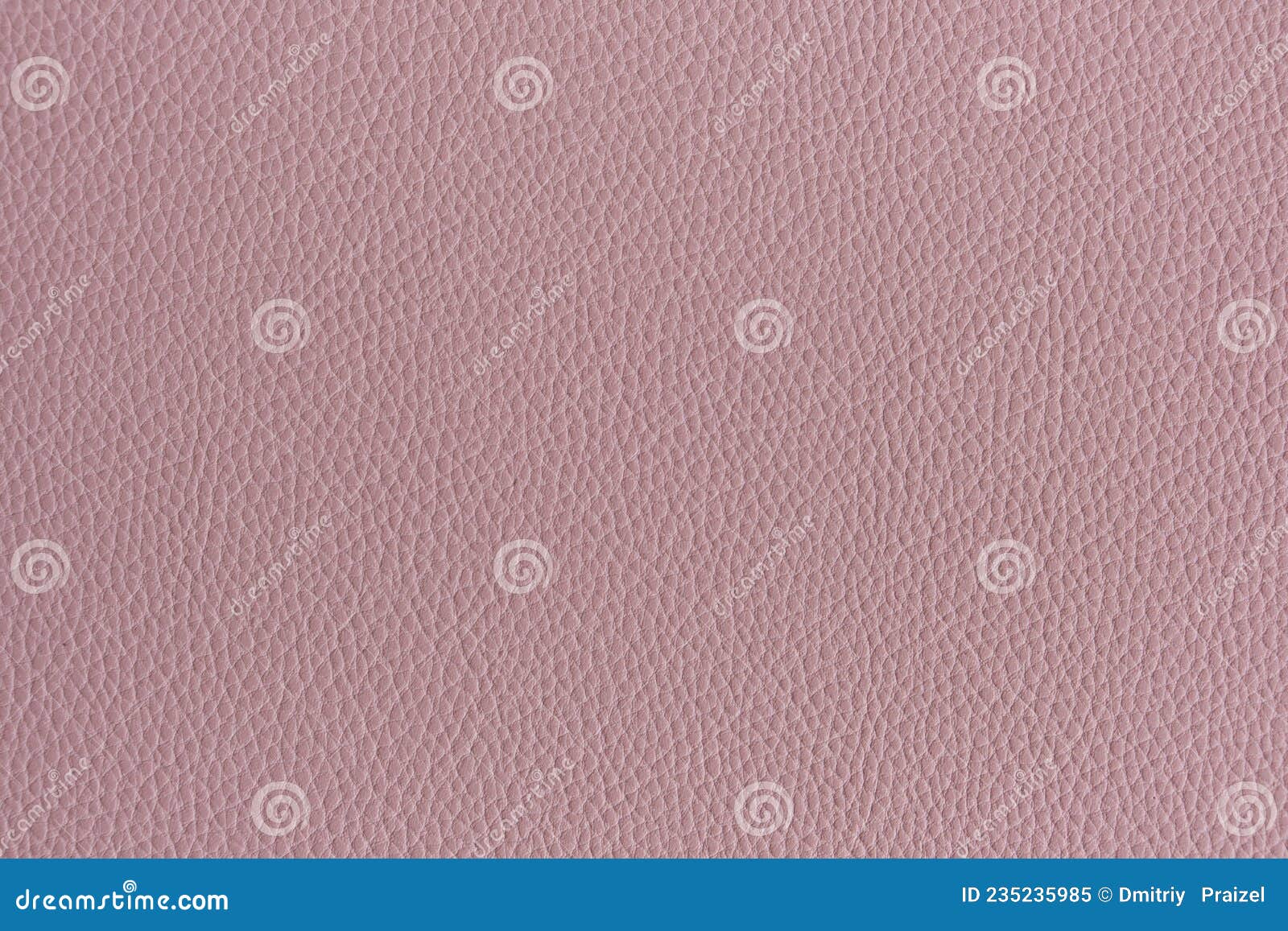 Pink Background with Skin Texture Stock Image - Image of macro, pink ...