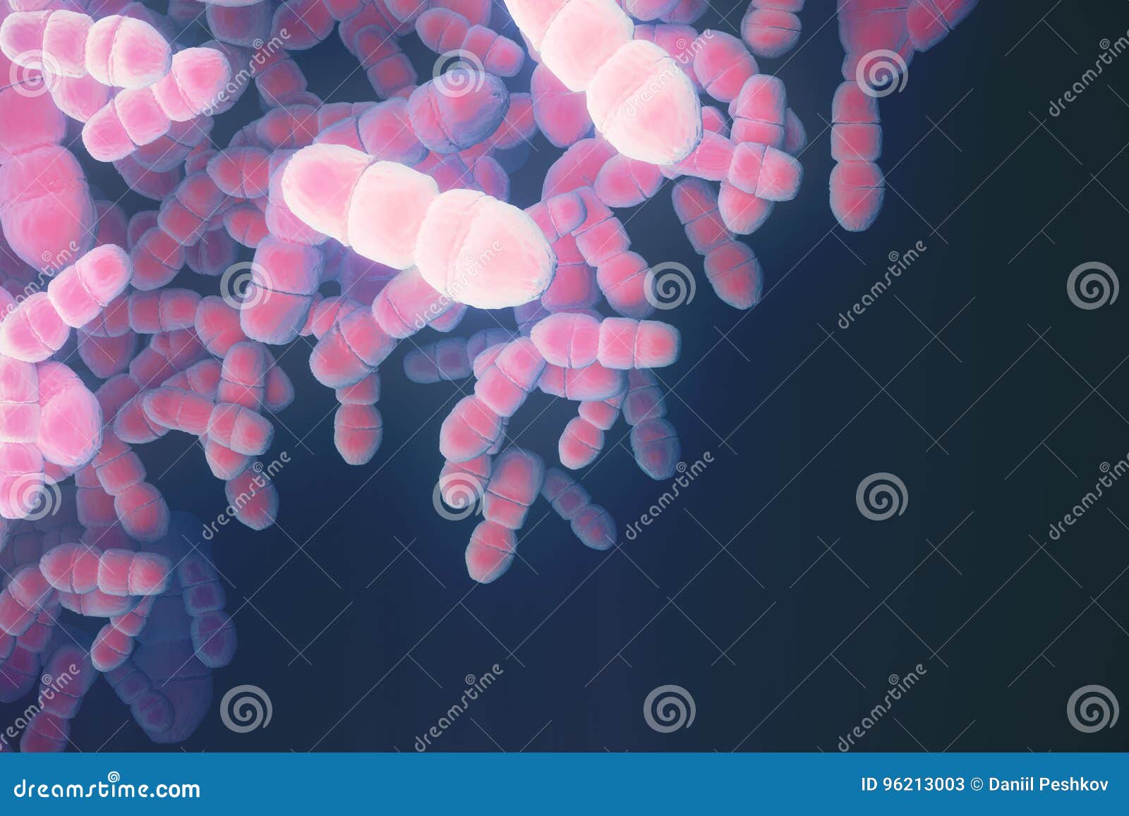 Pink bacteria backdrop stock illustration. Illustration of microscope ...