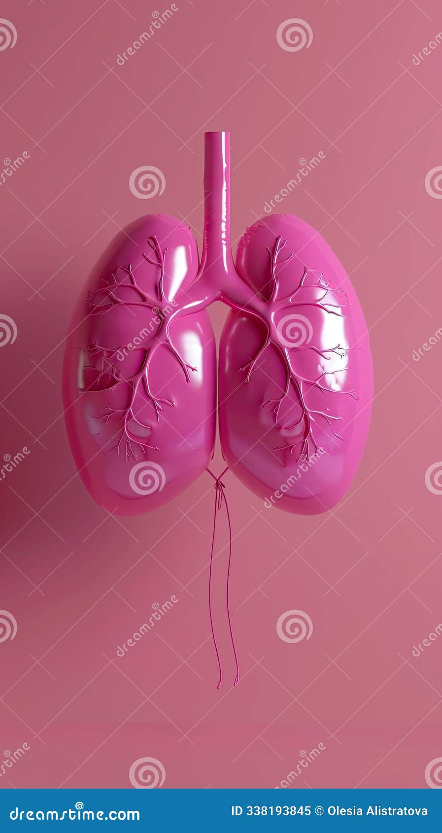 A Pink Balloon in the Shape of Simplistic Lungs, Rubber Texture, Solid ...