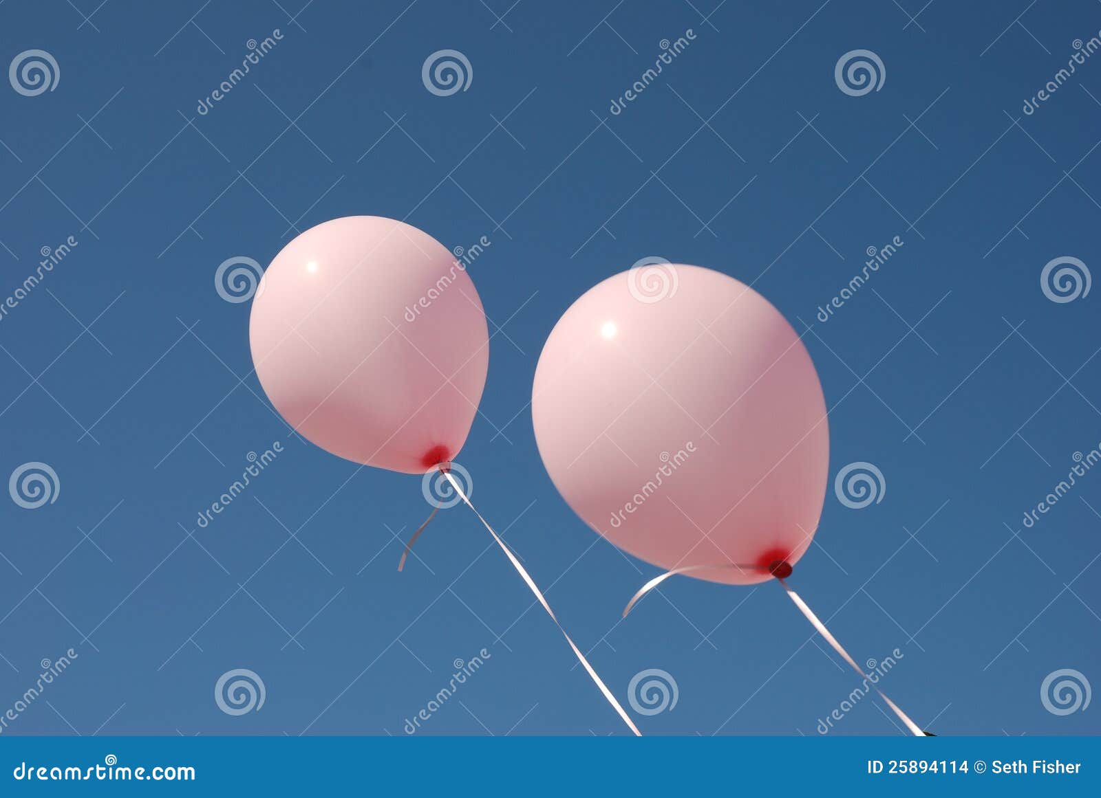 Pink Balloons stock photo. Image of pink, white, string - 25894114