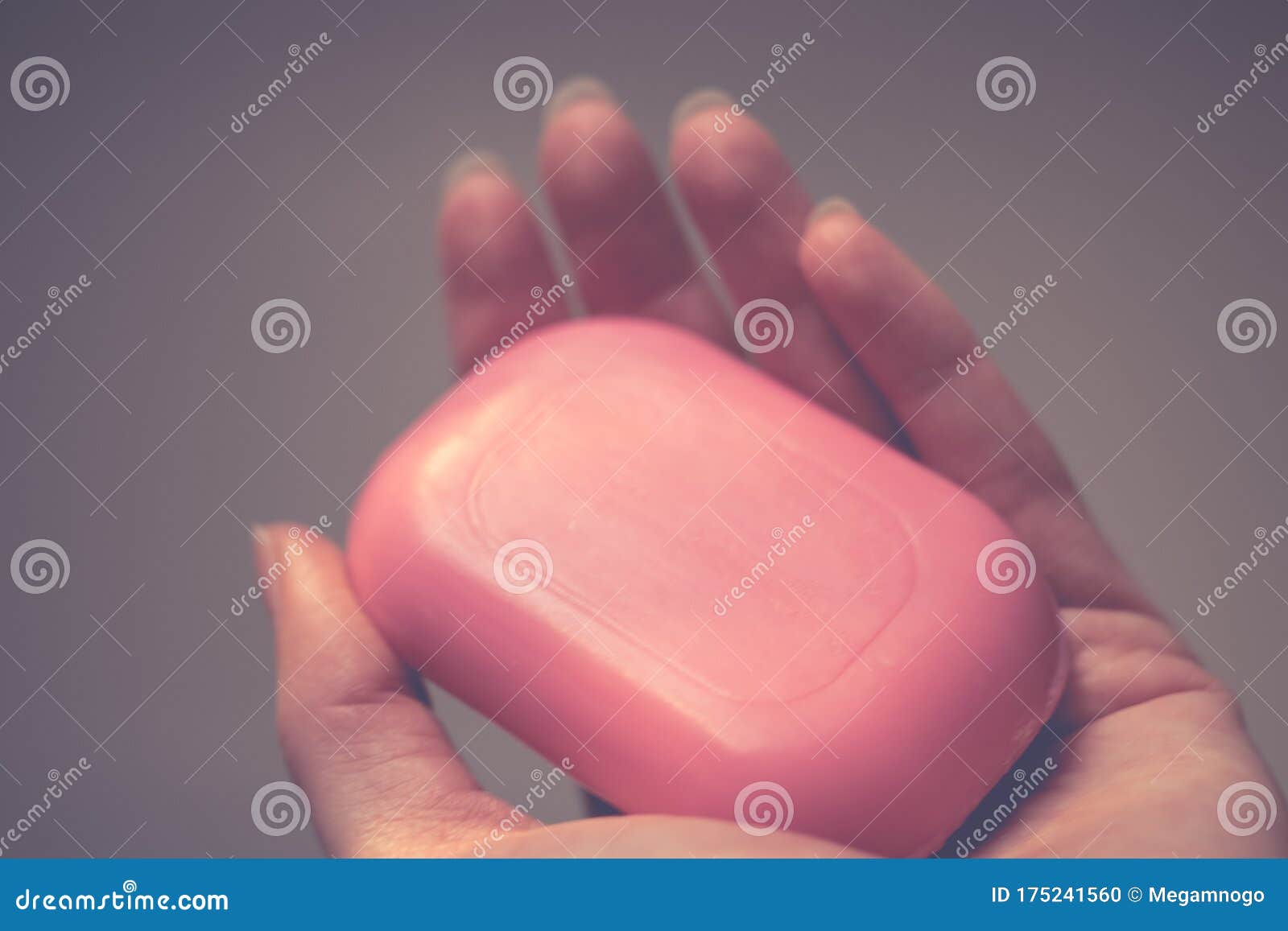 Pink Bar of Soap in Female Palm Closeup Stock Photo - Image of clean ...