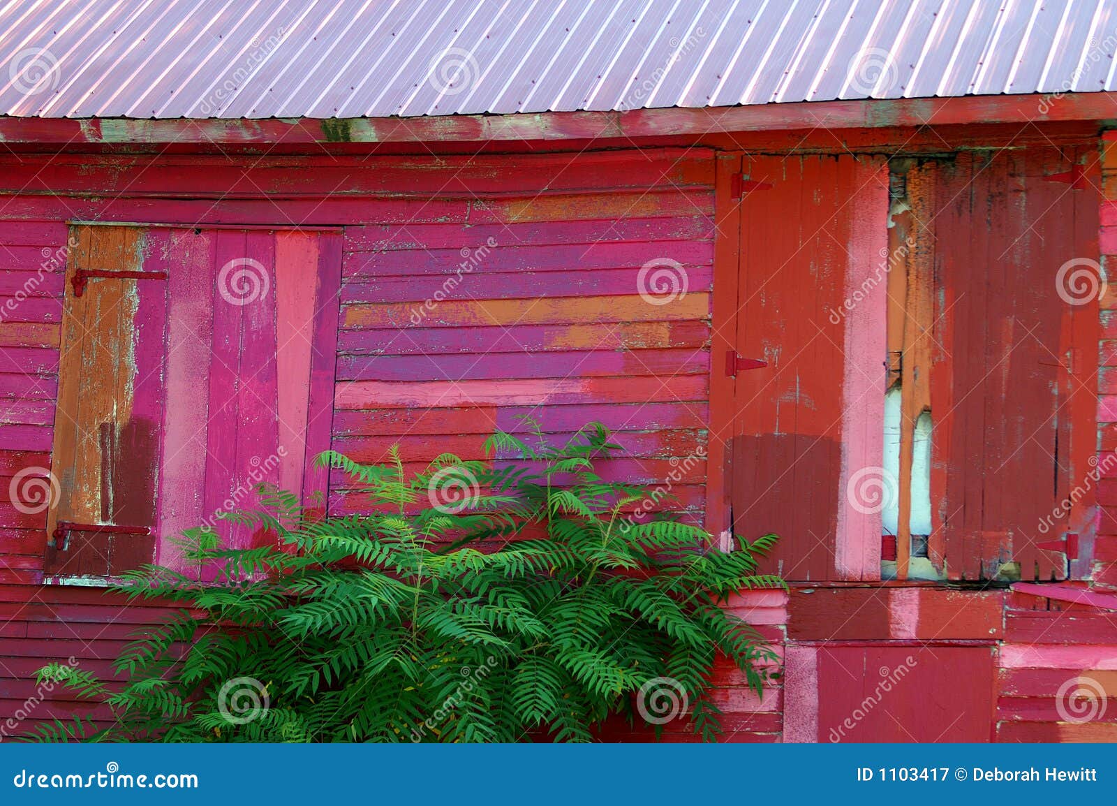 Pink barn stock image. Image of shrub, greenery, plant - 1103417