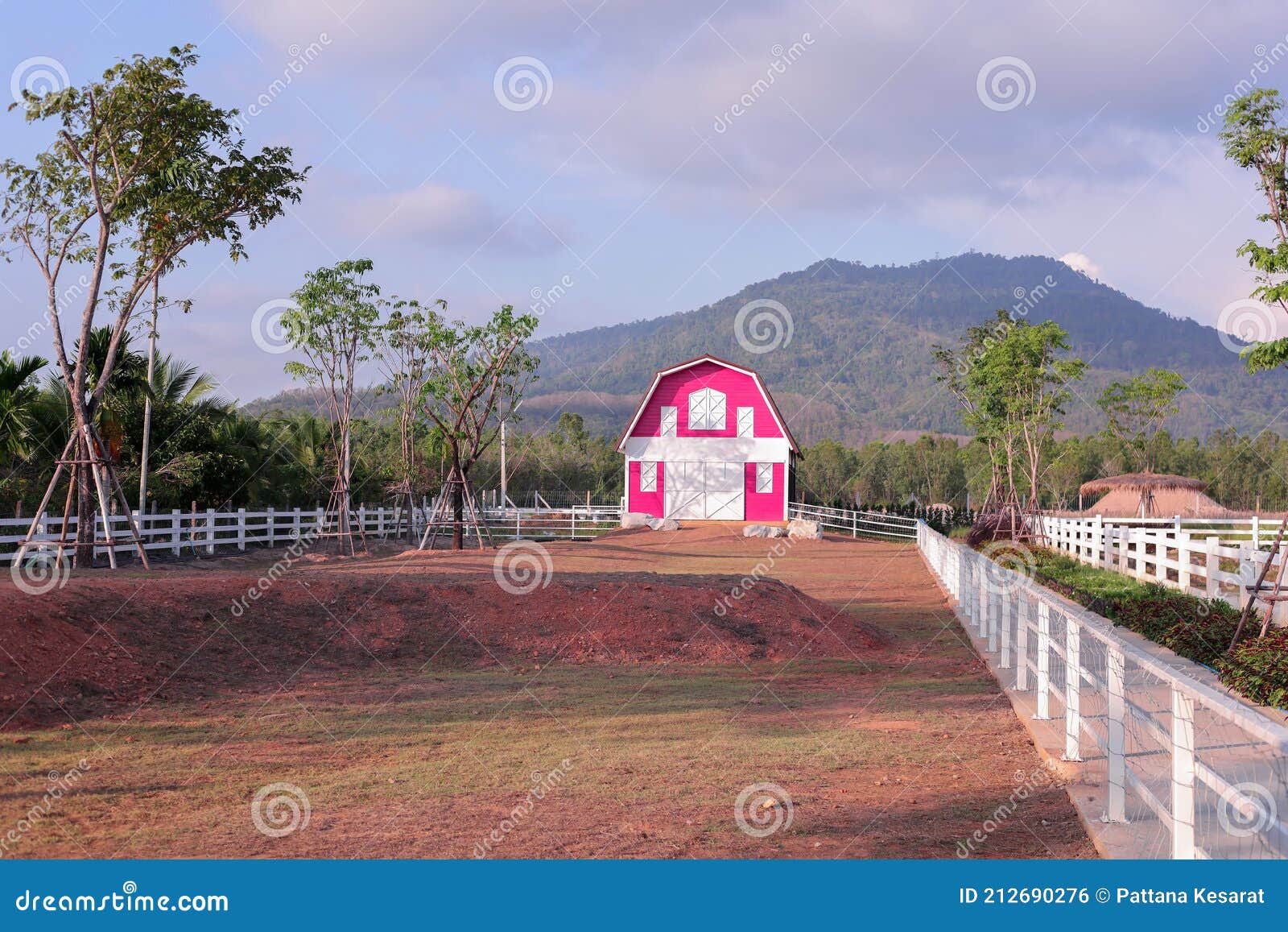 Pink barn on a farm stock photo. Image of farm, barn - 212690276