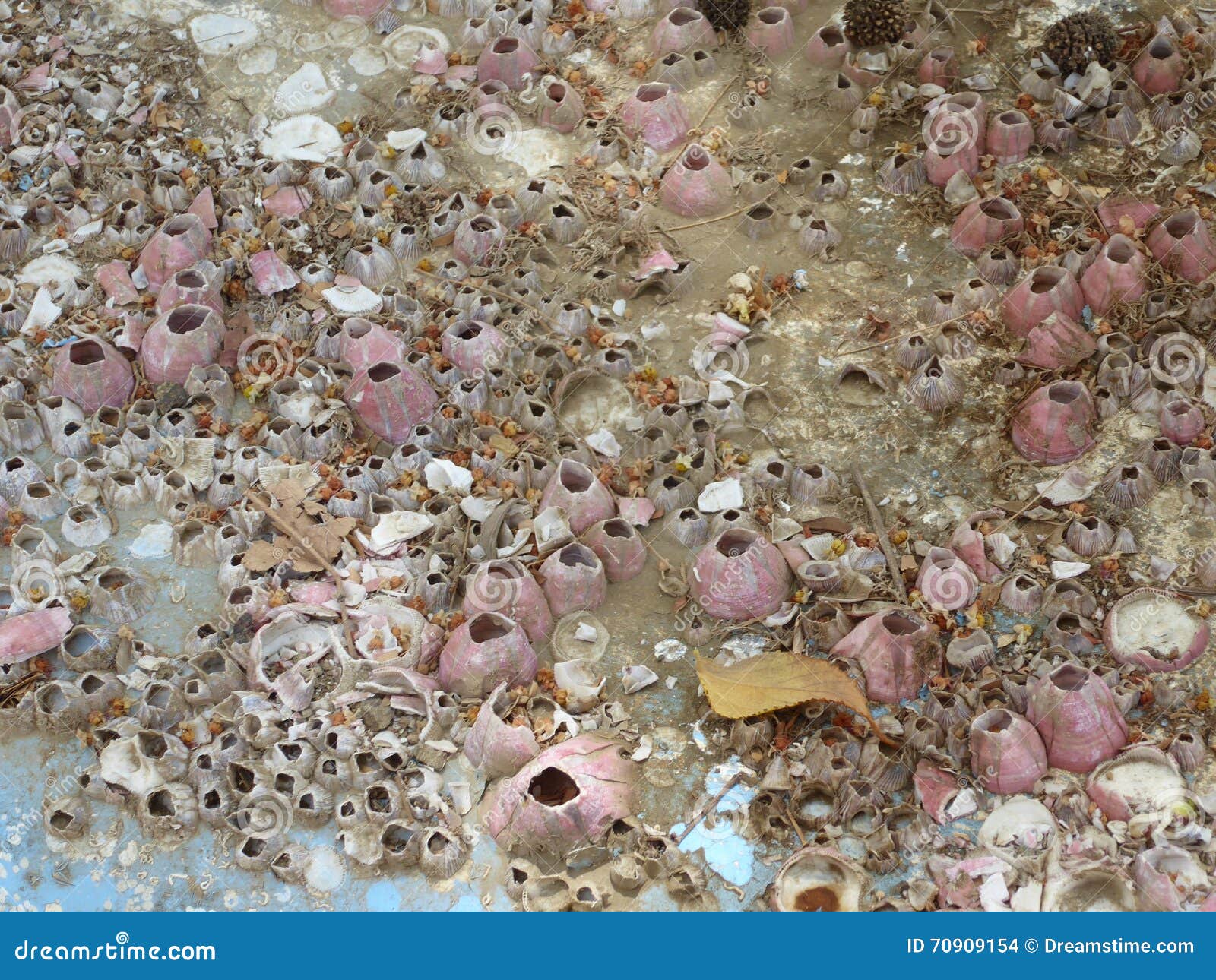 Royalty Free Images, Cartoons, Illustrations And Photos Designed By ...