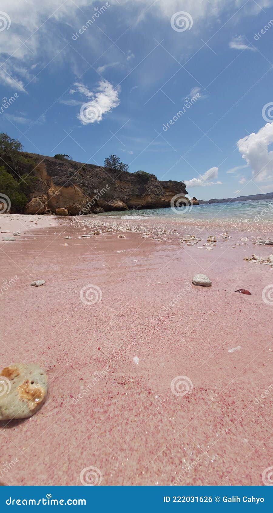 Pink Beach so Beautiful stock photo. Image of komodo - 222031626