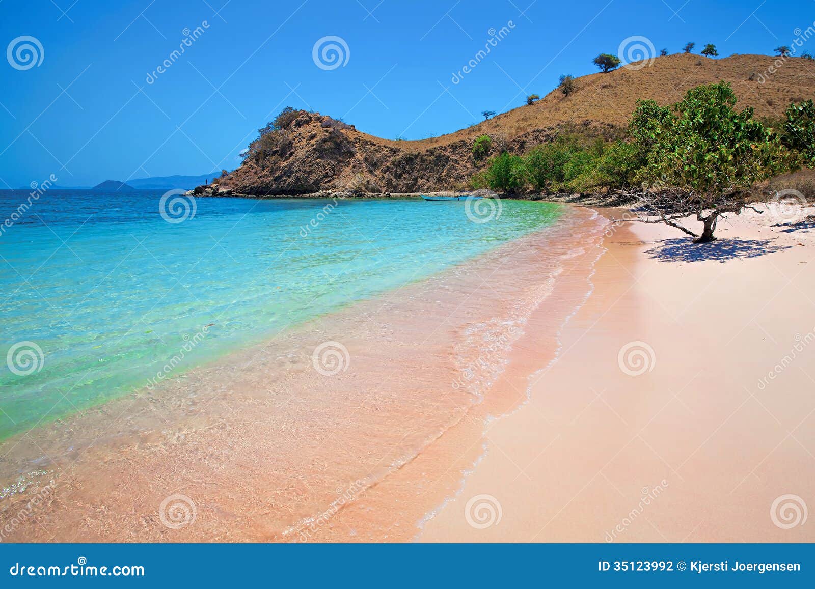 Pink Beach stock photo. Image of beach, nature, green - 35123992