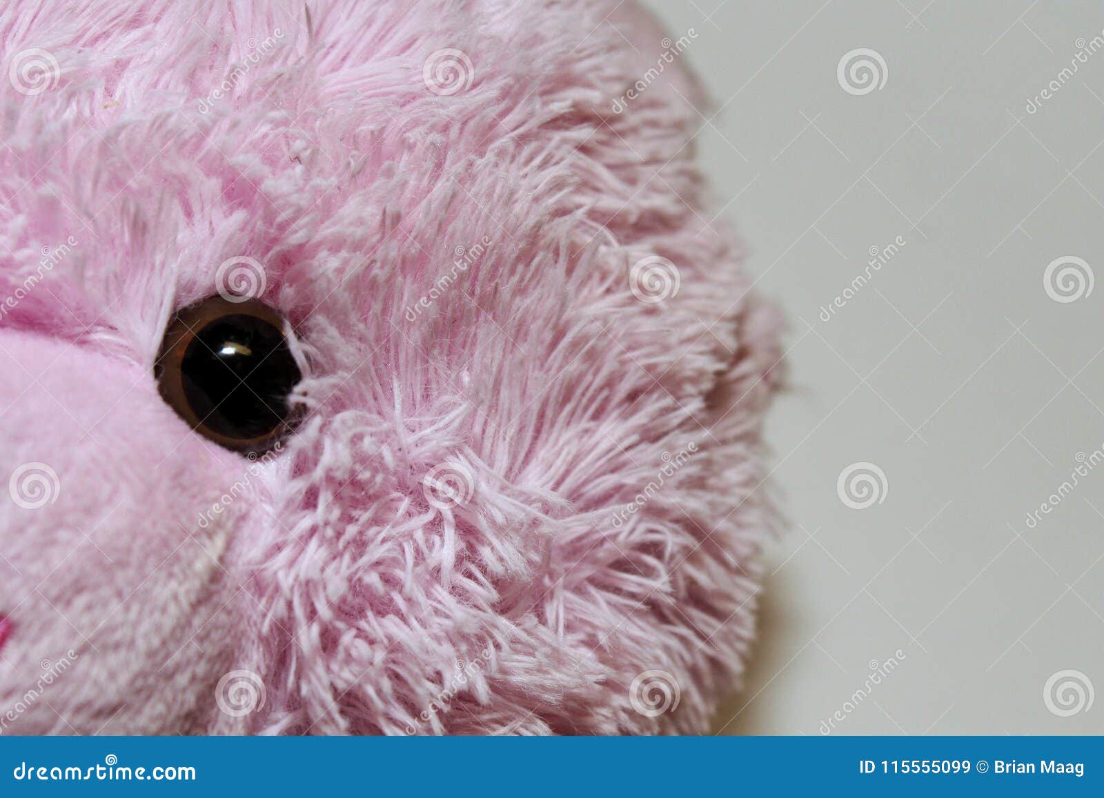 Pink bear left stock image. Image of frame, fluffy, isolated - 115555099