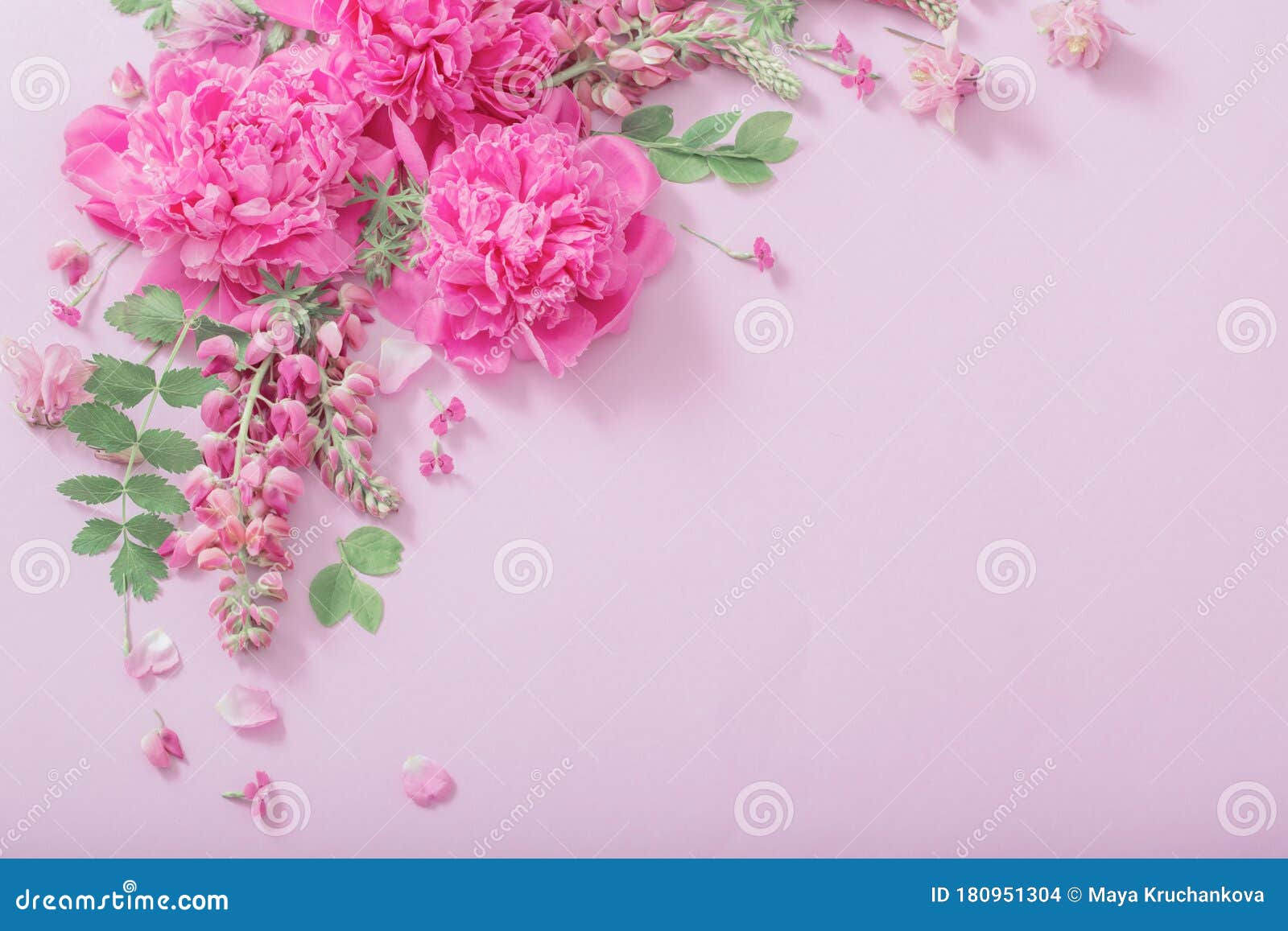 Pink Flowers on Pink Paper Background Stock Photo - Image of decor ...