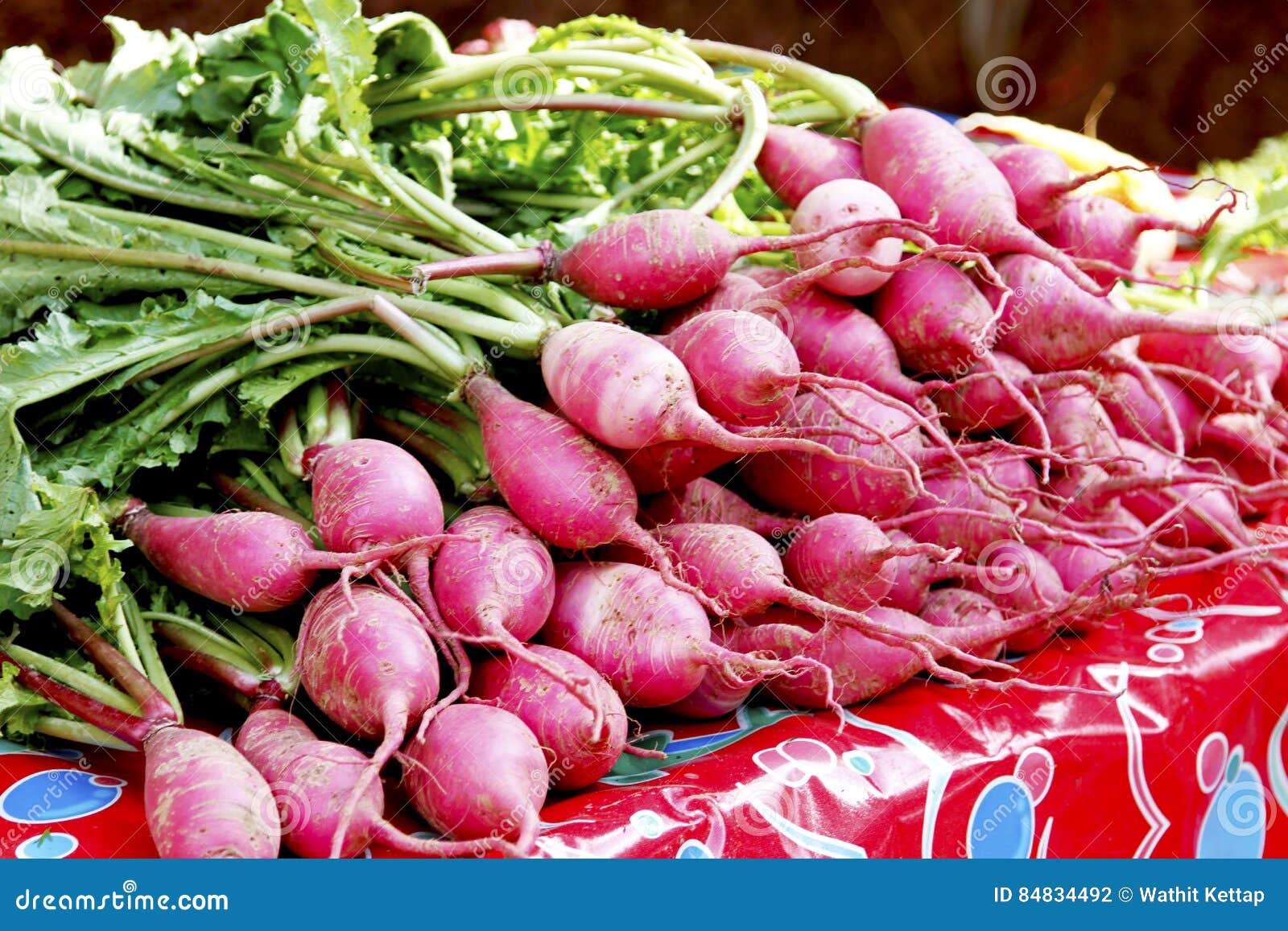 Pink beetroot stock photo. Image of annual, field, outdoor - 84834492