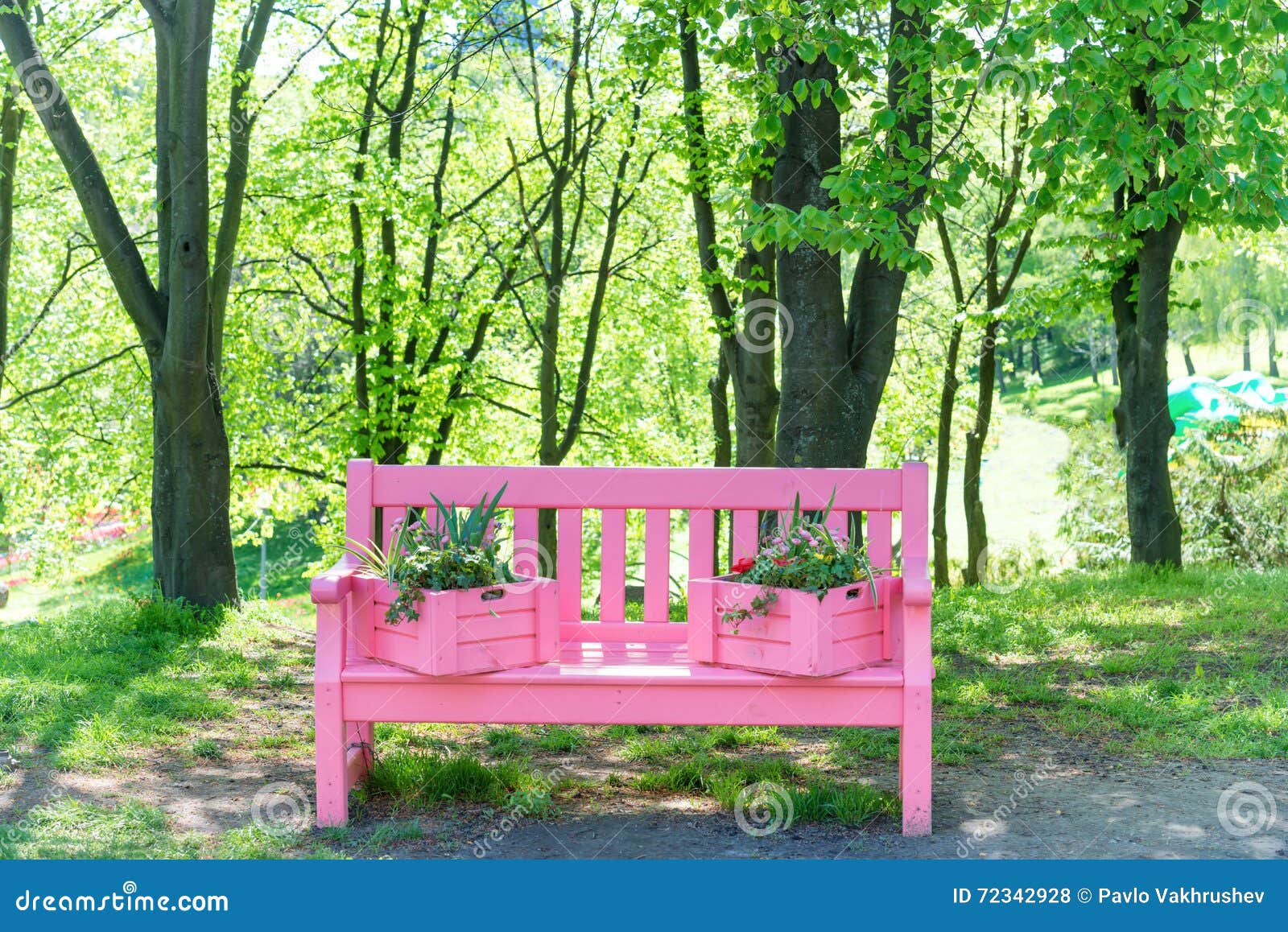 Pink Bench in the Green Park Stock Photo - Image of furniture, empty ...