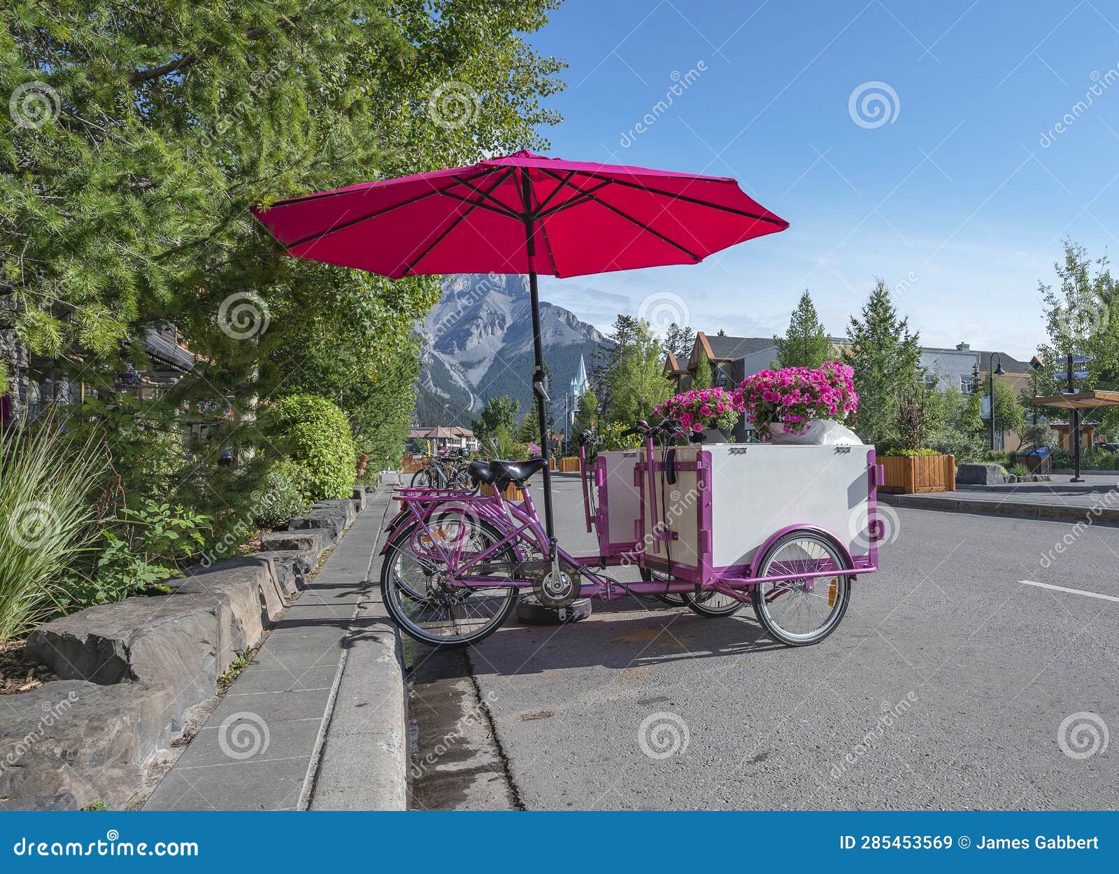 Pink Bicycle Ice-cream Carts in Banff Stock Image - Image of mountain ...