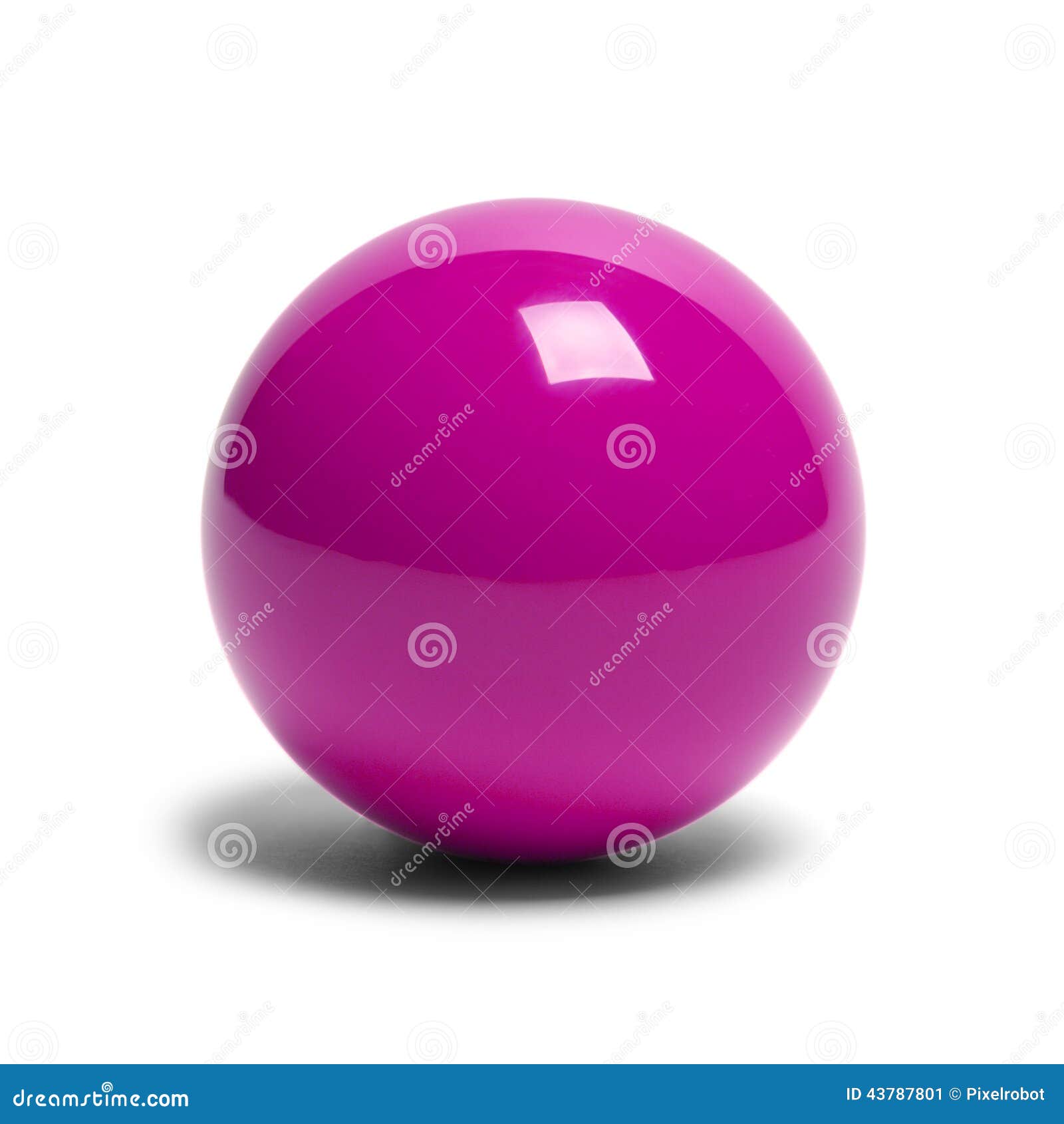 Pink Ball Tree, Dombeya X Cayeuxii, Two Clusters Of Pink Flowers Stock ...