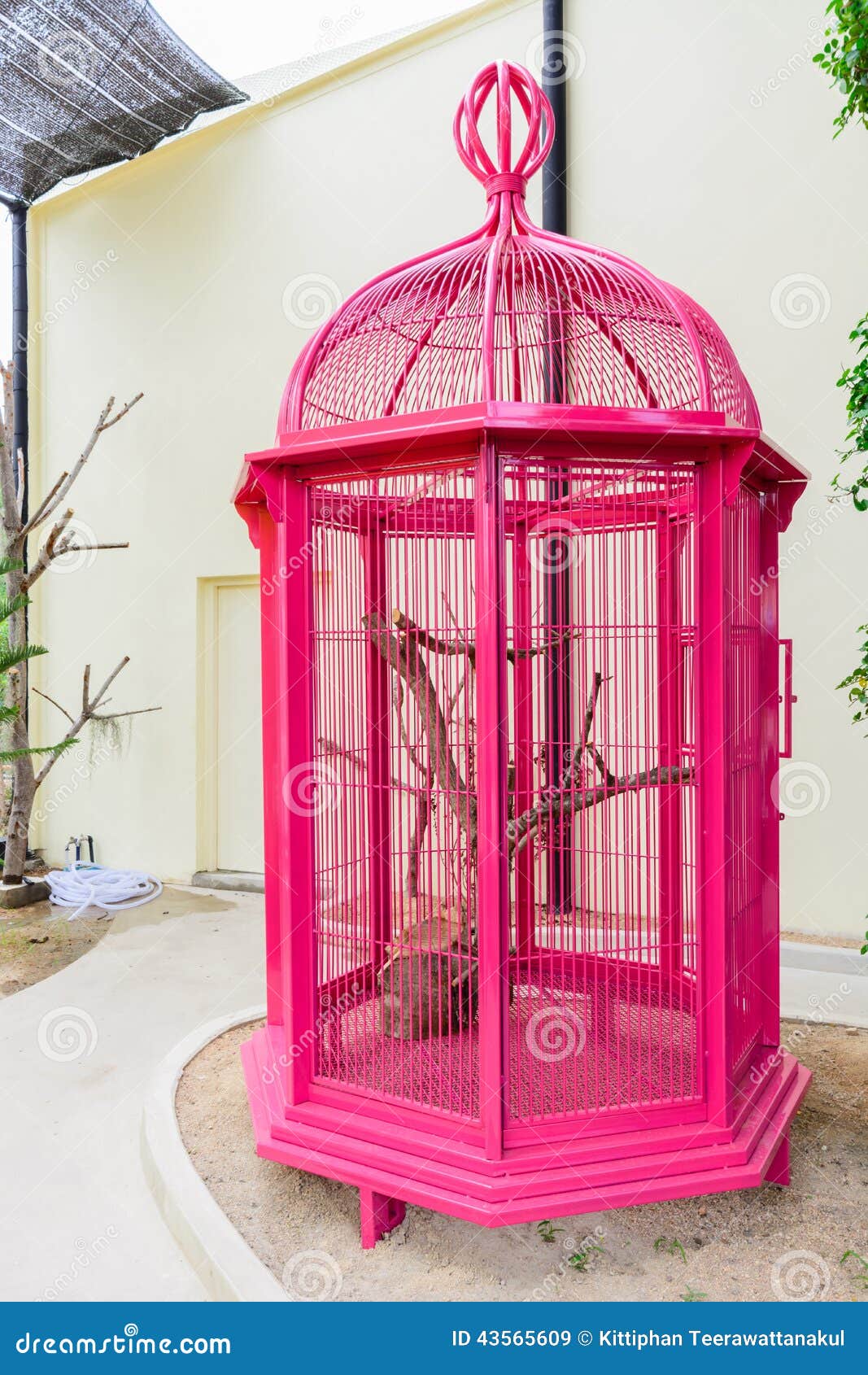 Pink birdcage stock image. Image of jail, trap, captive - 43565609