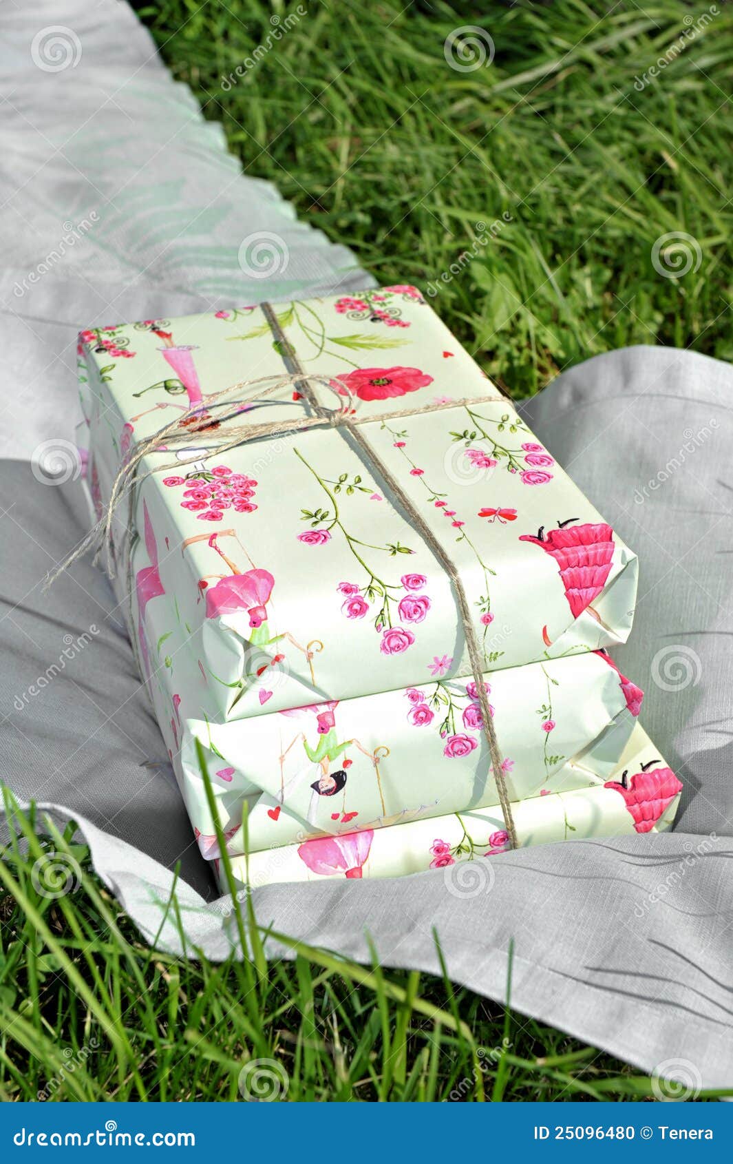 The Pink Birthday Gift on the Grass Stock Photo - Image of favor ...