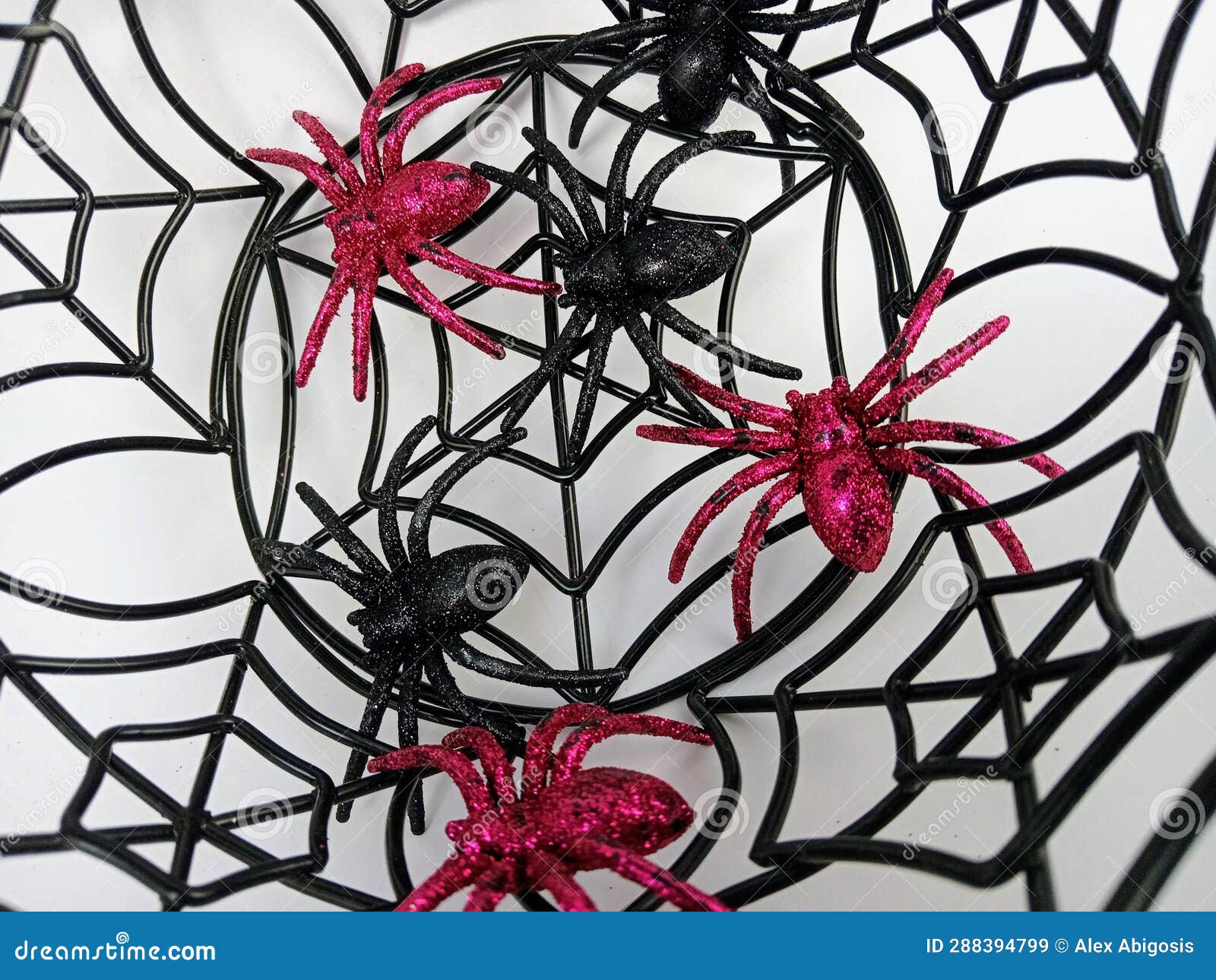 Pink and Black Spider Decorations on a Metal Spider Web Stock Image ...