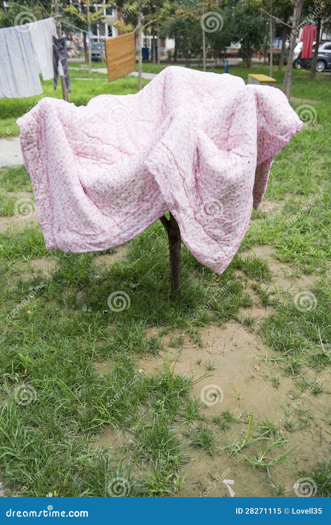 Pink Blanket on tree stock image. Image of blanket, tree - 28271115