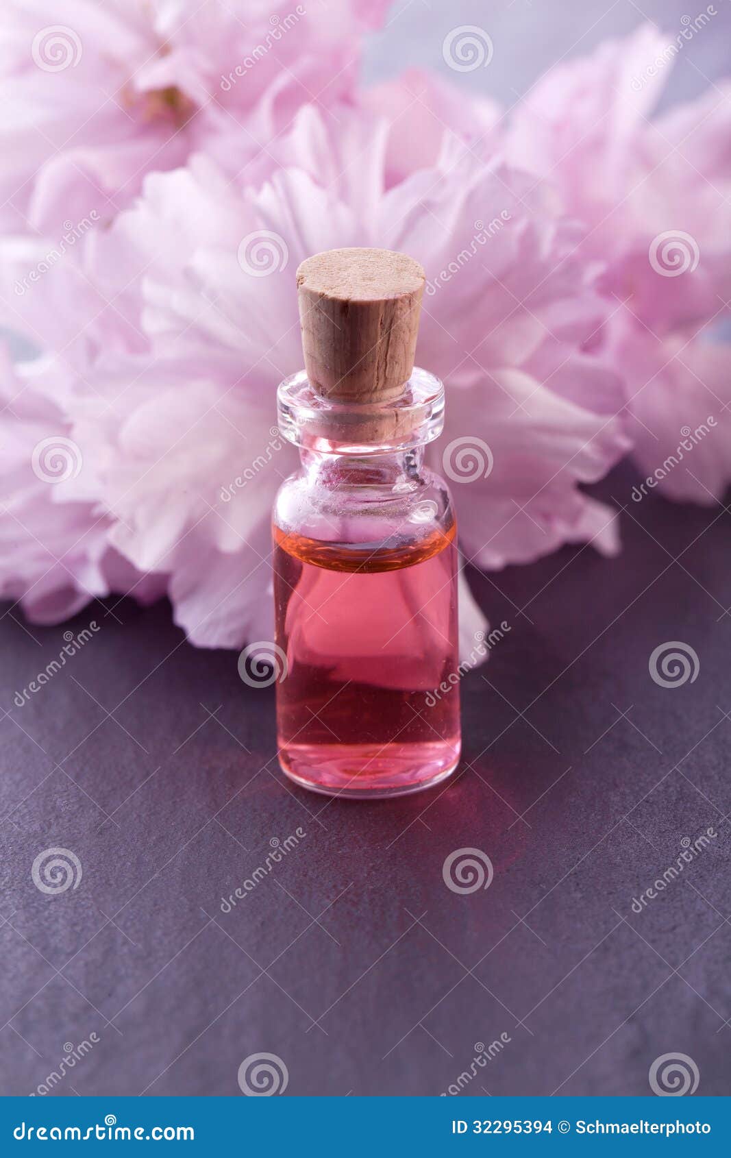 Pink Blossom Flower Aroma Essence Stock Photo - Image of essence ...