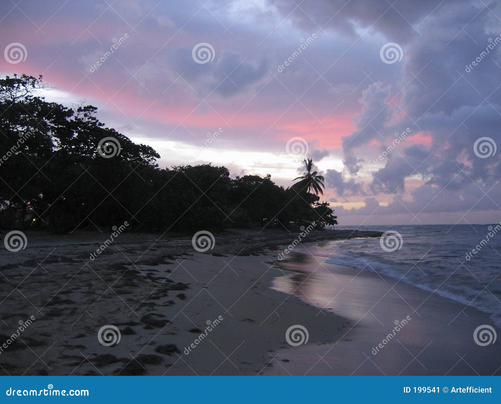 Pink and Blue Caribbean Sunset Stock Image - Image of purple, trees: 199541