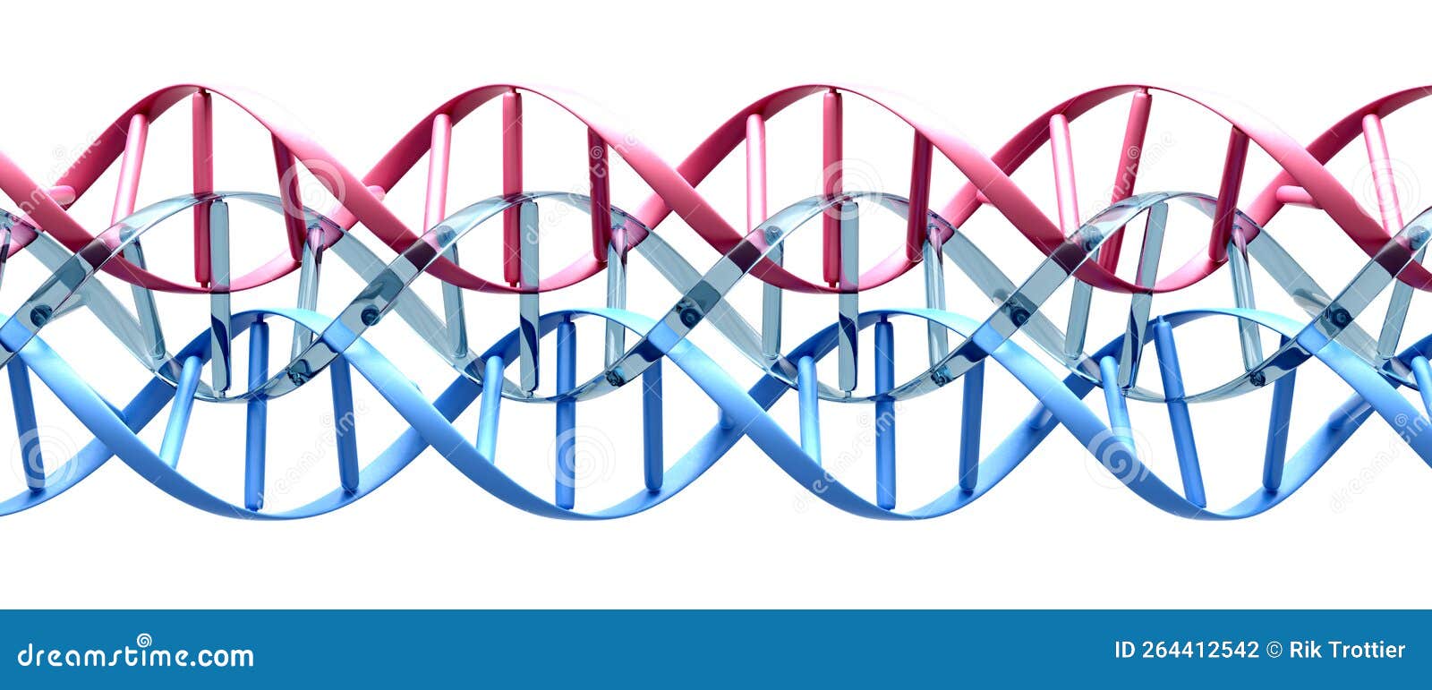 Pink and Blue DNA Molecules Stock Photo - Image of display, connection ...