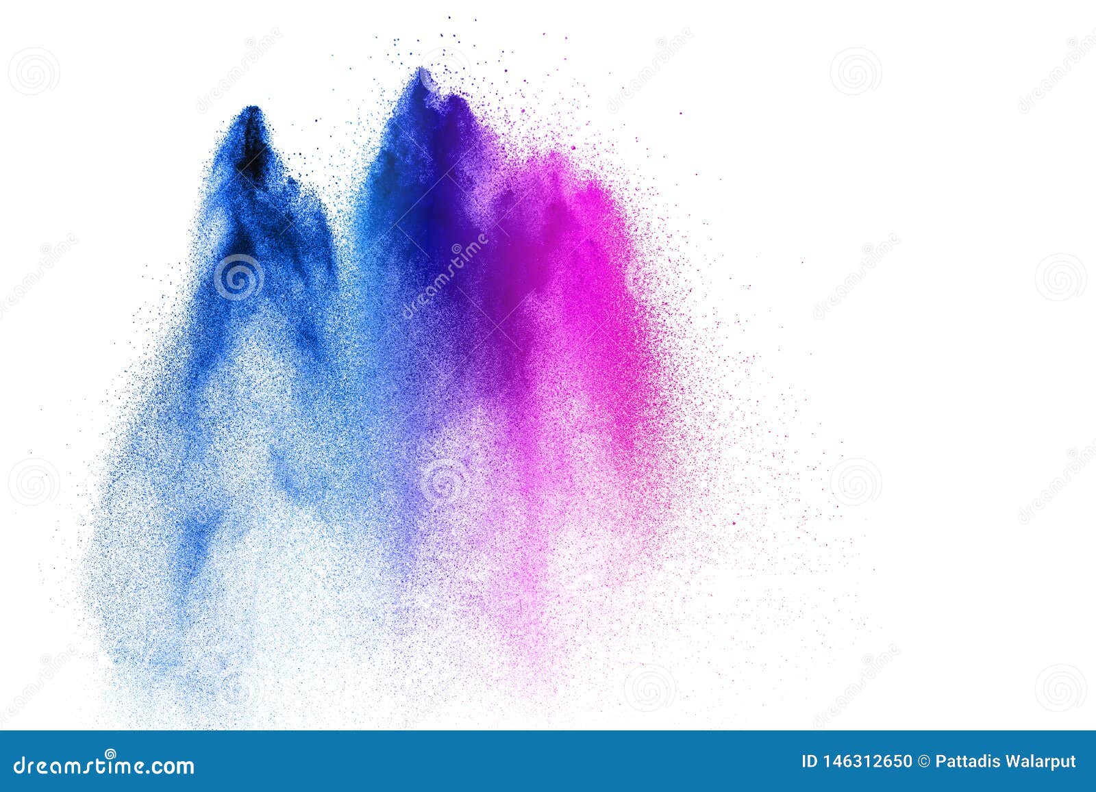 Pink Blue Powder Explosion on White Background.Pink Blue Dust Splash ...