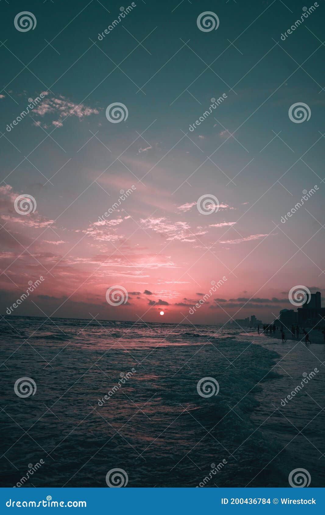 Pink and Blue Sunset stock photo. Image of leaves, light - 200436784