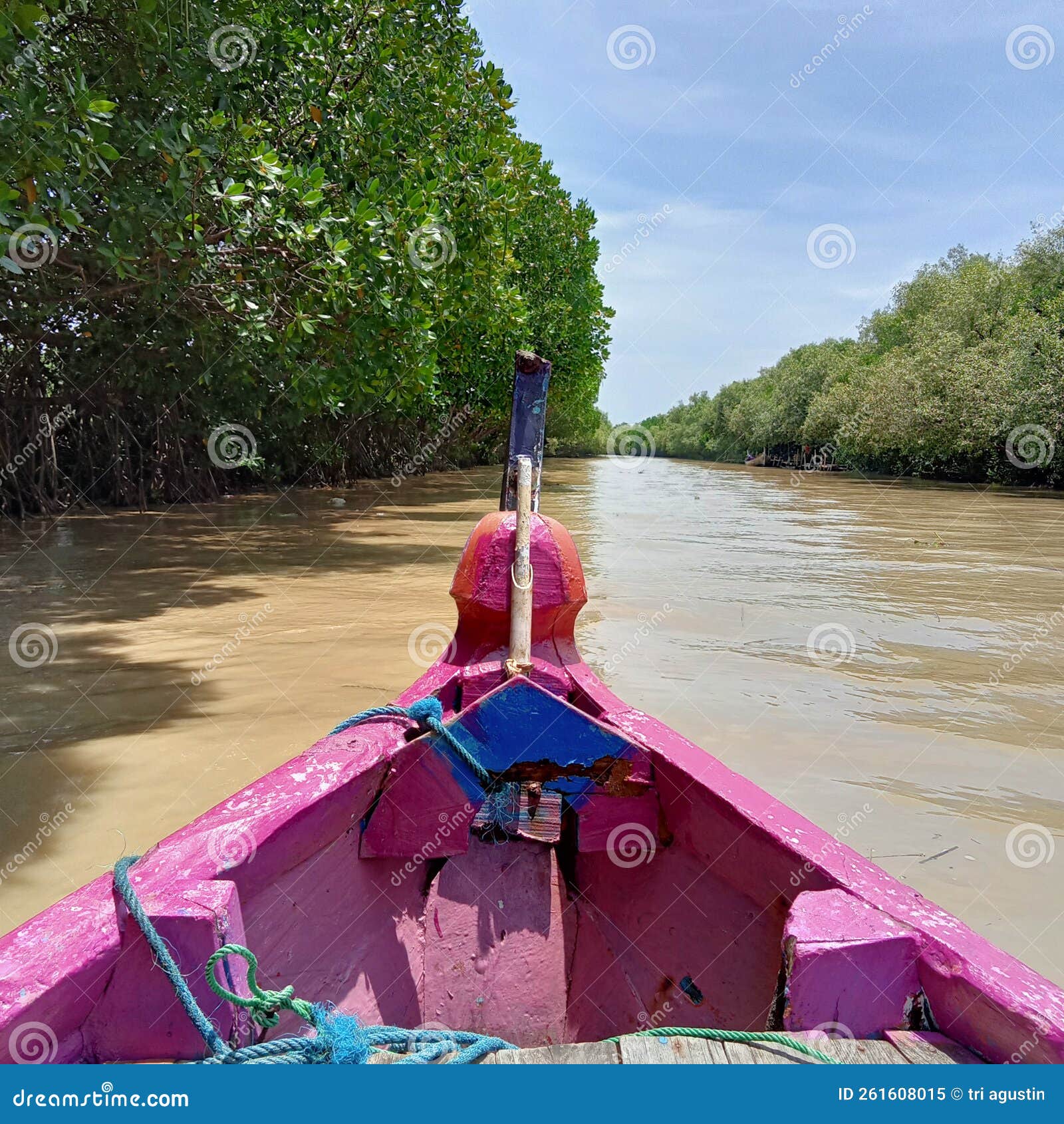 Mangrove And Pink Sunset Royalty-Free Stock Photography | CartoonDealer ...