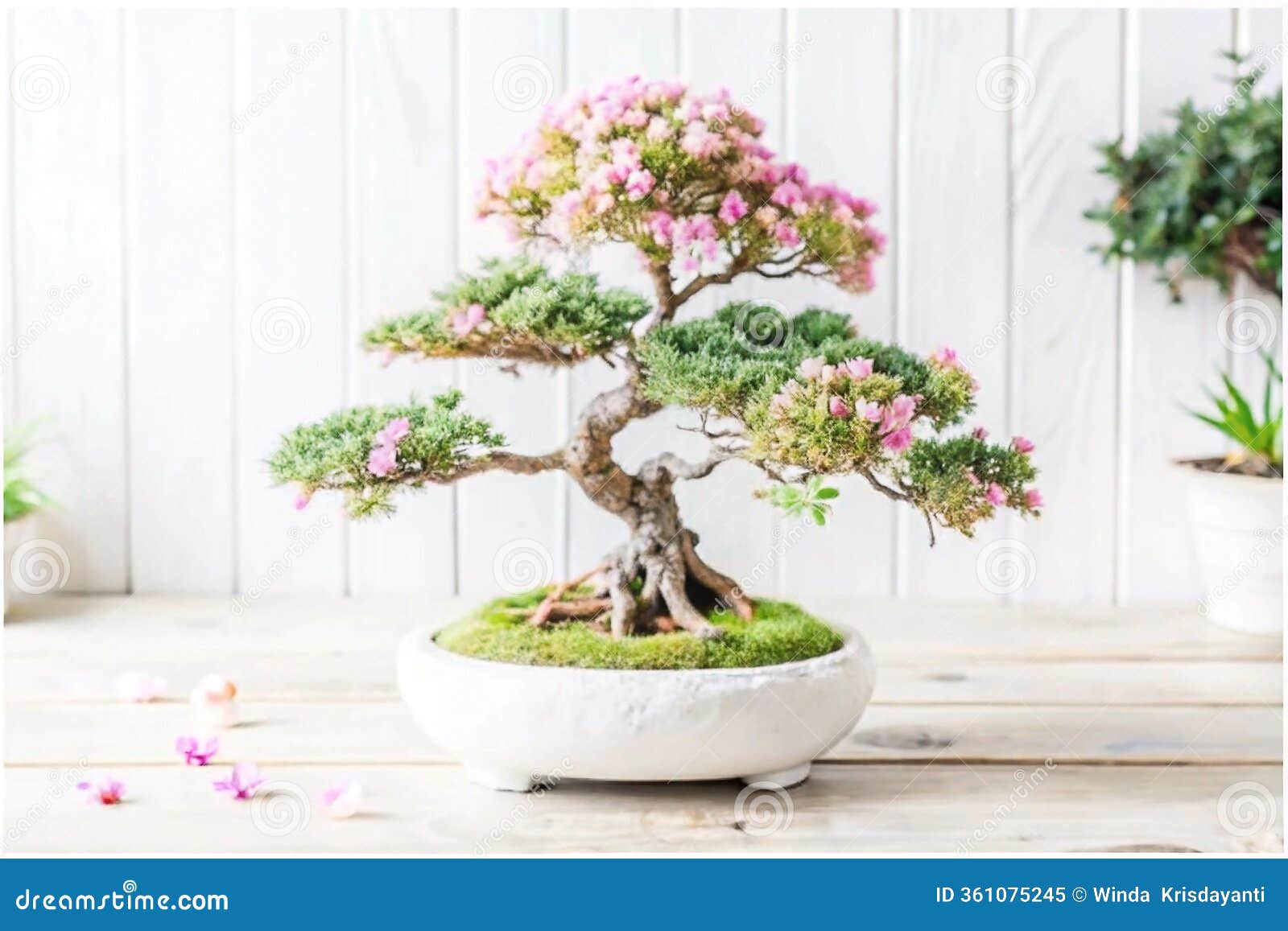 Pink Bonsai Tree: Realistic Hyper-detailed Rendering For Desktop ...
