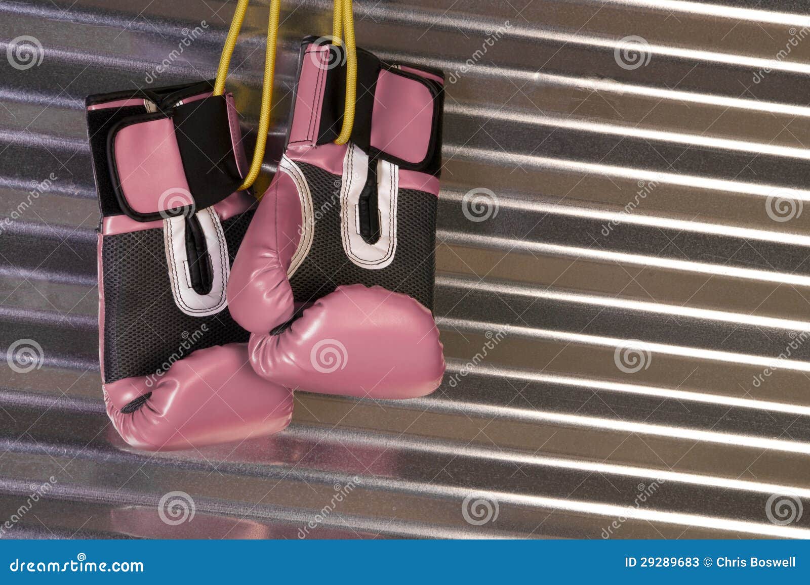 Pink Boxing Gloves Hanging on a Hook Stock Image - Image of boxing ...
