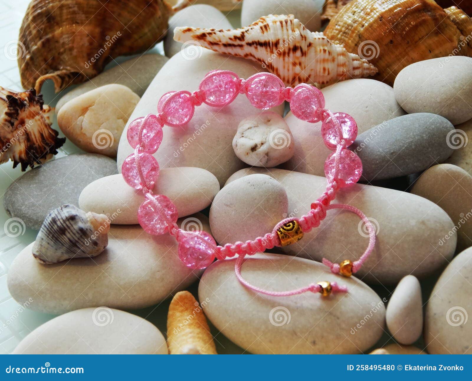 Pink Bracelet and Sea Shells Stock Photo - Image of fashionable ...