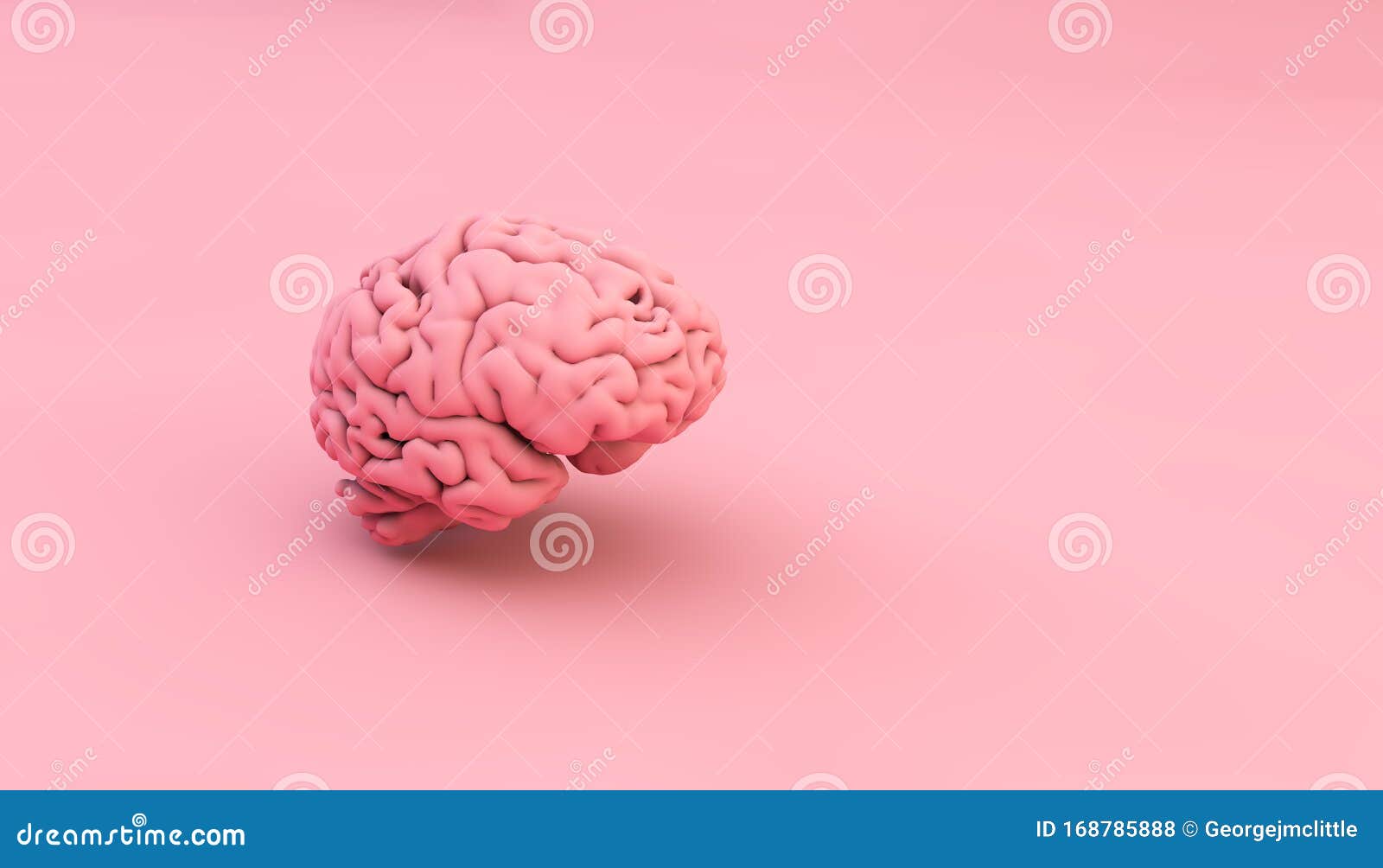 Pink Brain Scanner Computerized Tomography X-Ray Imaging Technique ...