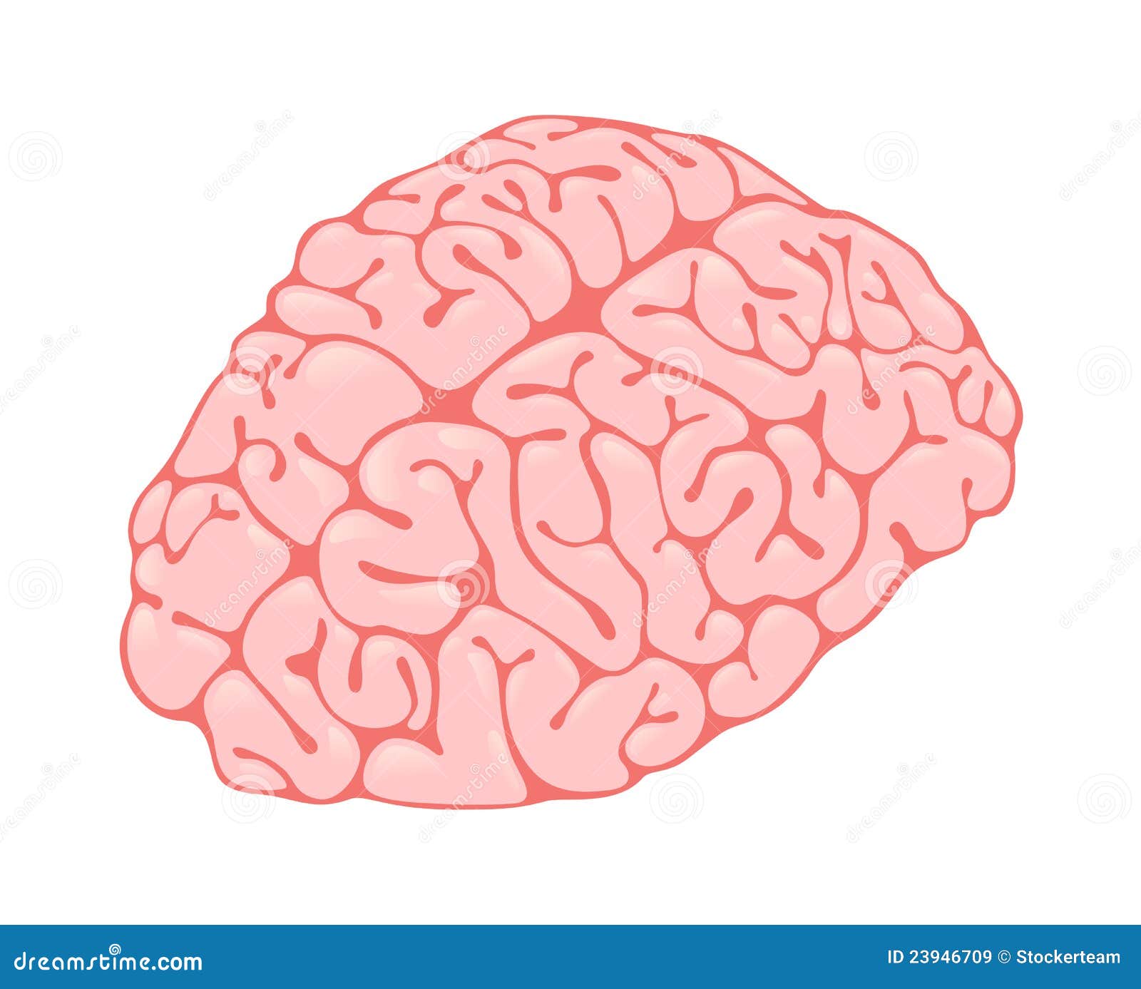 Pink Brain Clipart