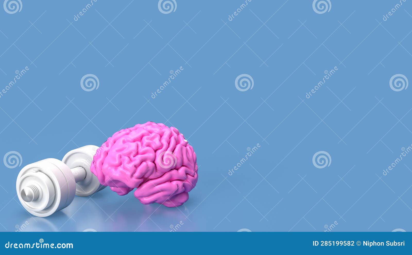The Pink Brain and White Dumbbell for Brain Training Concept 3d ...