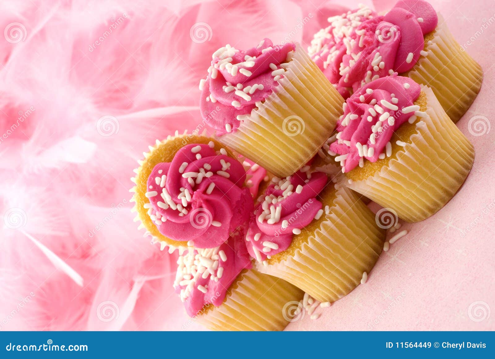 24,052 Pink Month Stock Photos - Free & Royalty-Free Stock Photos from ...