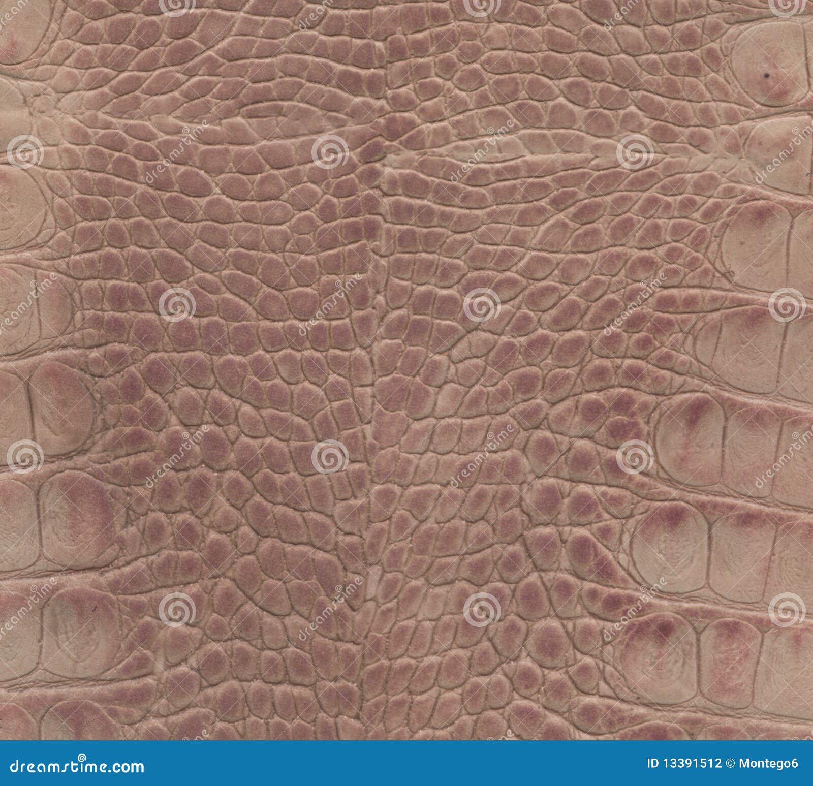 Pink and Brown Crocodile Leather Texture Stock Photo - Image of ...