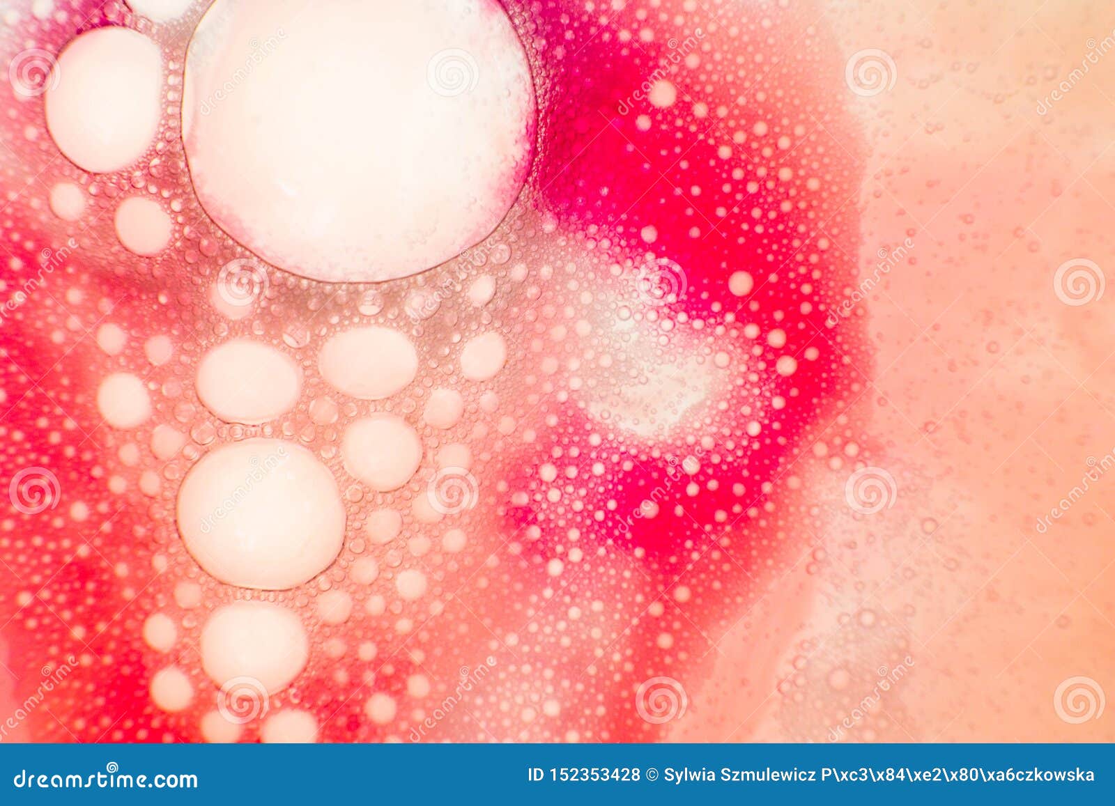Pink Bubbles Looking Like Cells through the Microscpe Stock Photo ...