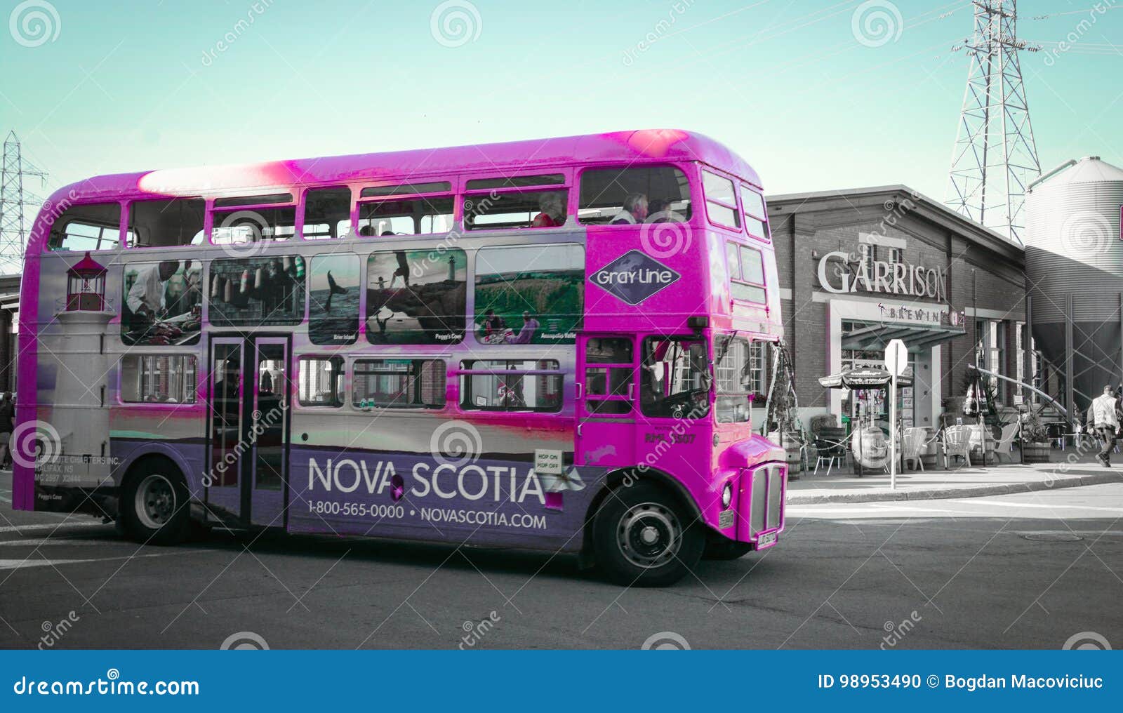 Pink Bus editorial image. Image of travel, exploration - 98953490