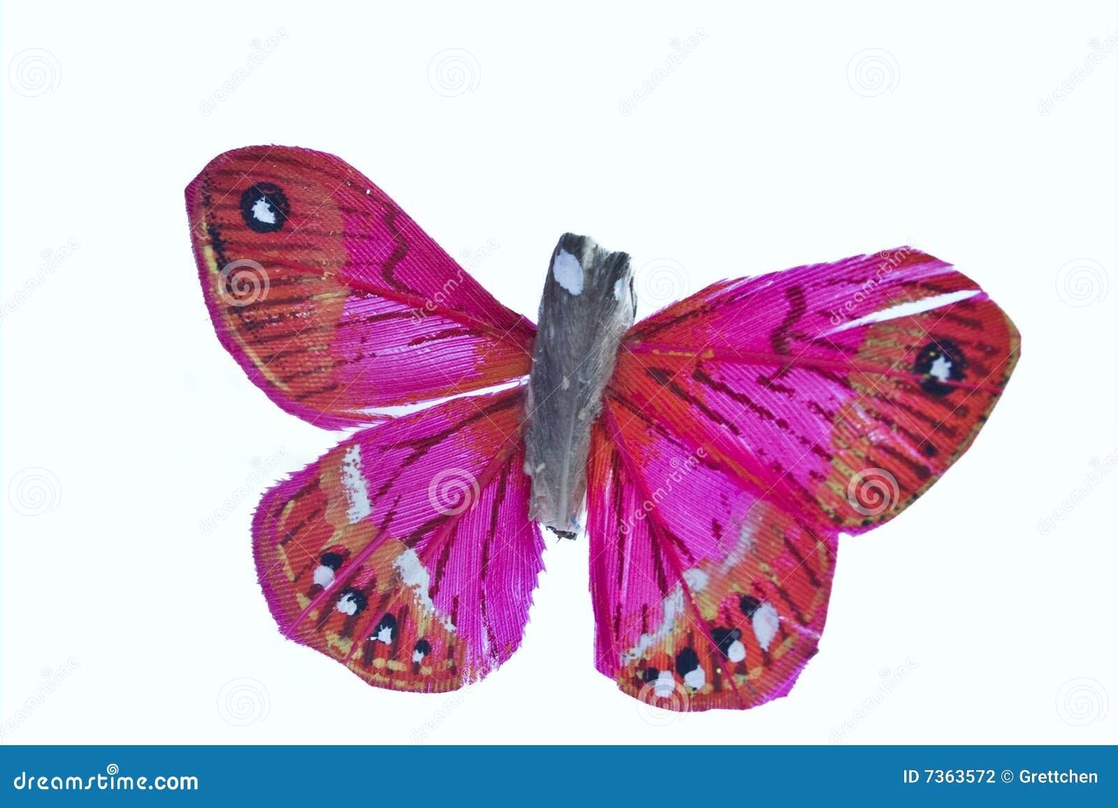 Pink butterfly stock photo. Image of romance, wings, beautiful - 7363572